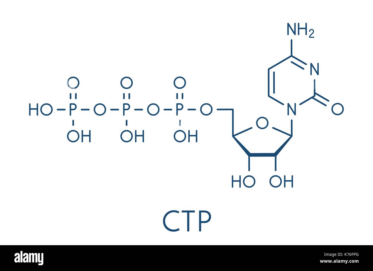 Cytidine triphosphate (CTP) RNA building block molecule. Also functions ...