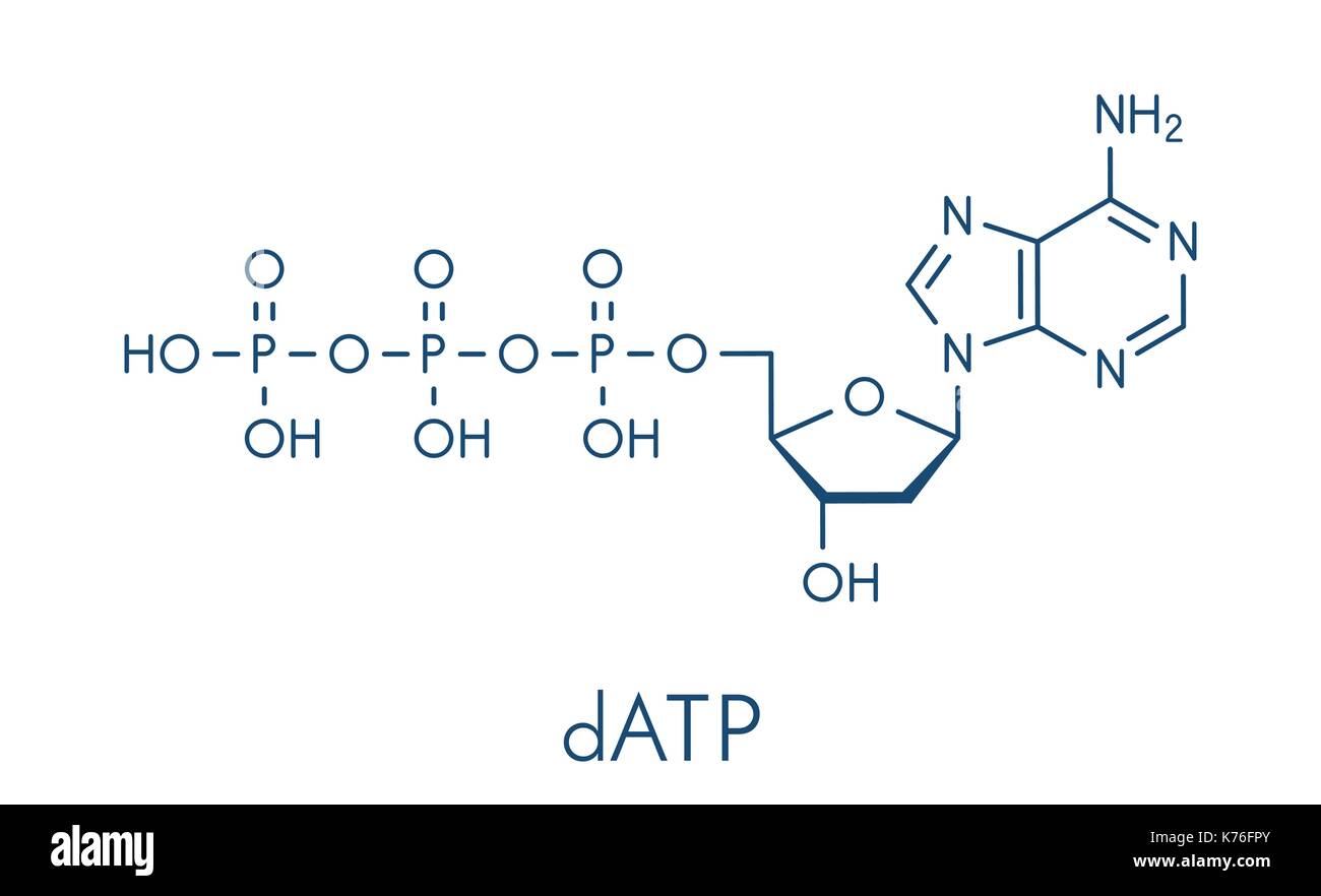 Deoxyadenosine triphosphate (dATP) nucleotide molecule. DNA building ...