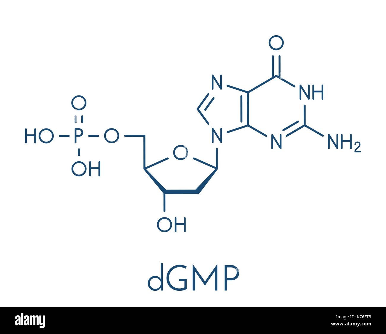 Nucleotide Molecule Structure