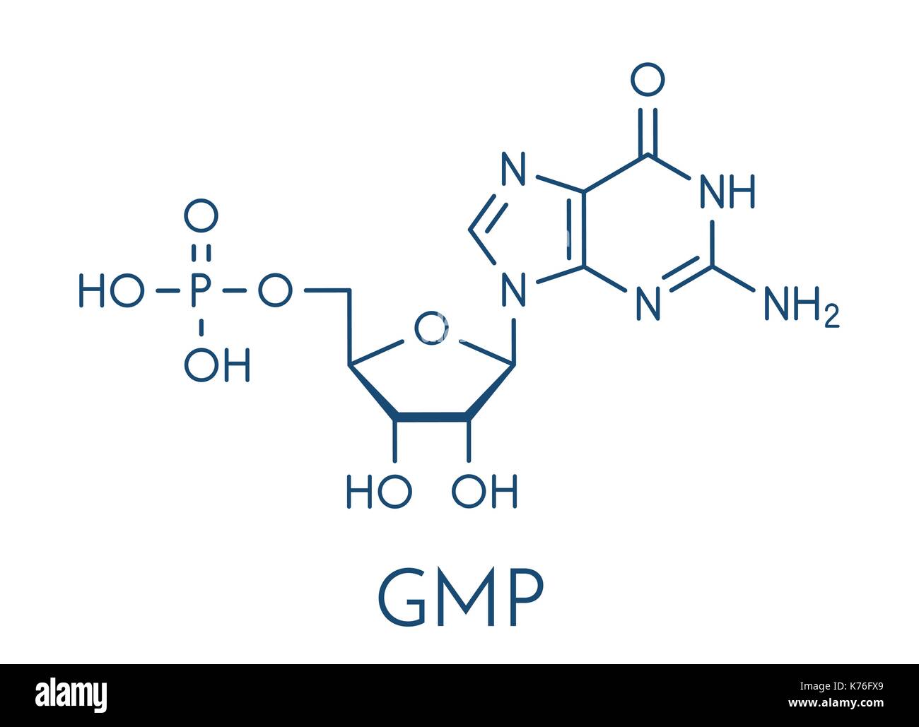 Guanosine monophosphate (GMP, guanylic acid) RNA building block ...