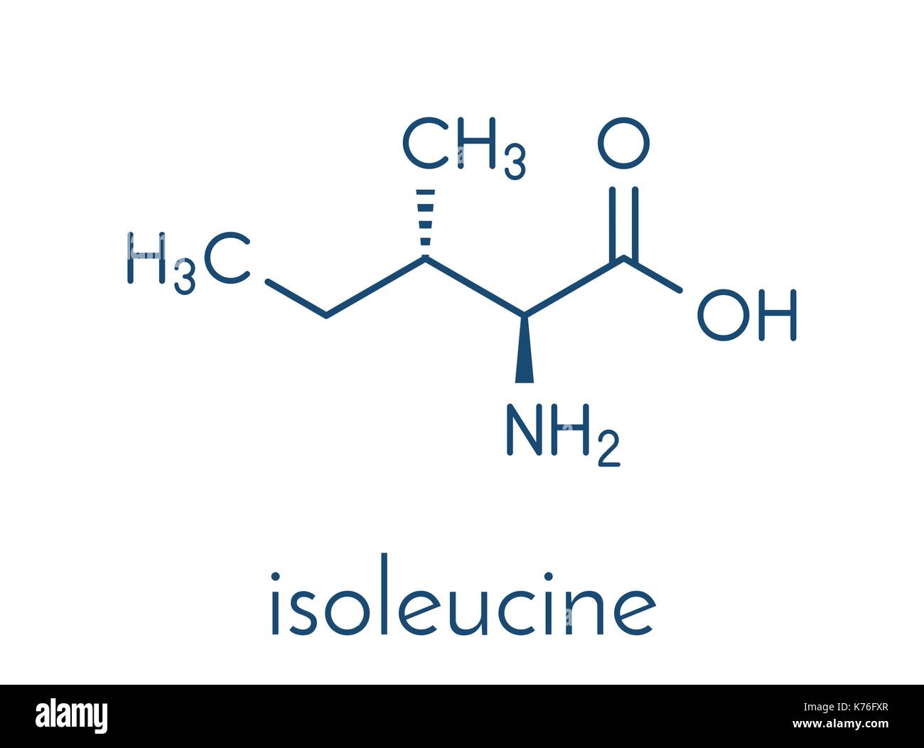 Isoleucine (L-isoleucine, Ile, I) amino acid molecule. Skeletal formula ...