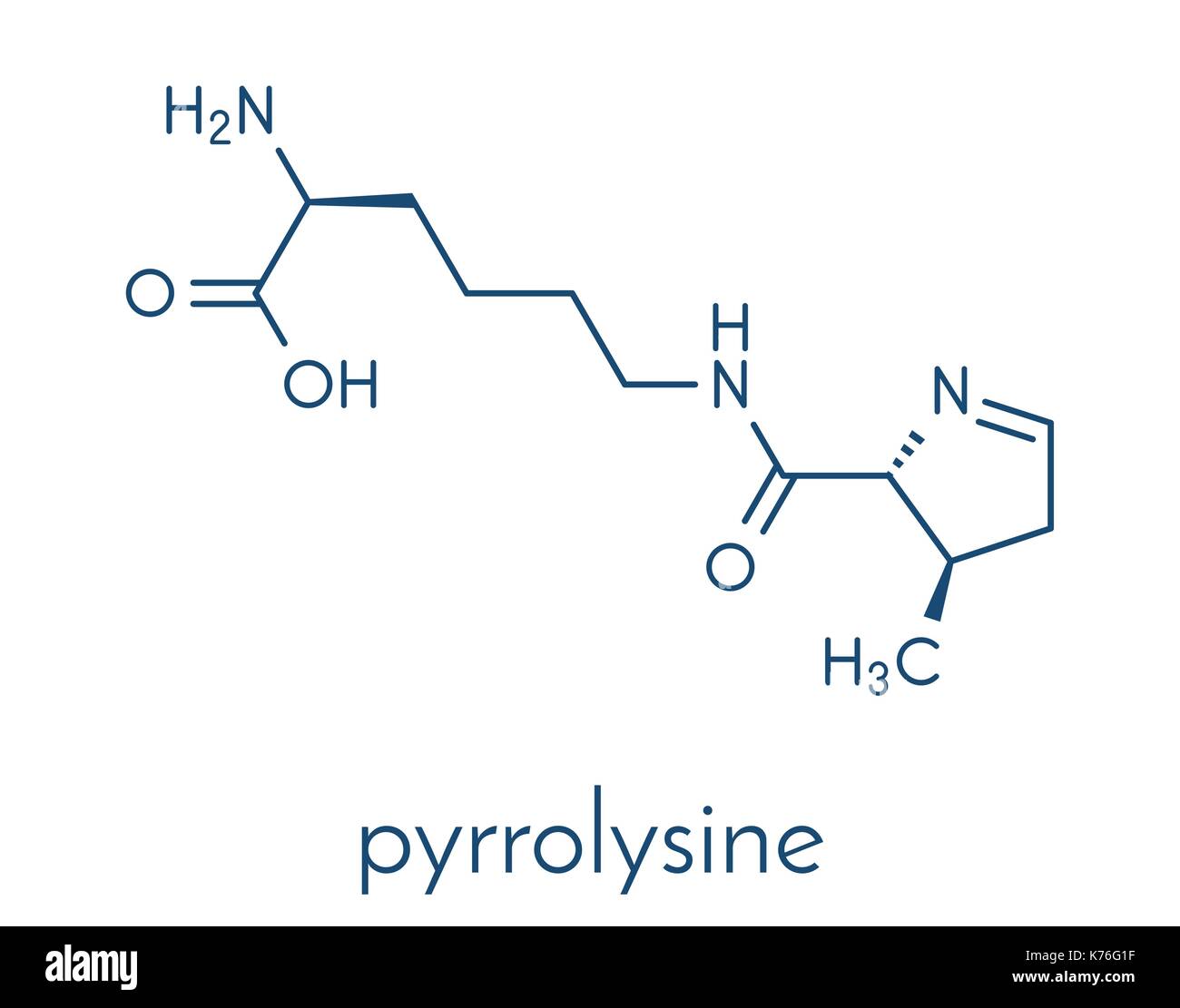 Pyrrolysine (l-pyrrolysine, Pyl, O) amino acid molecule. Skeletal ...