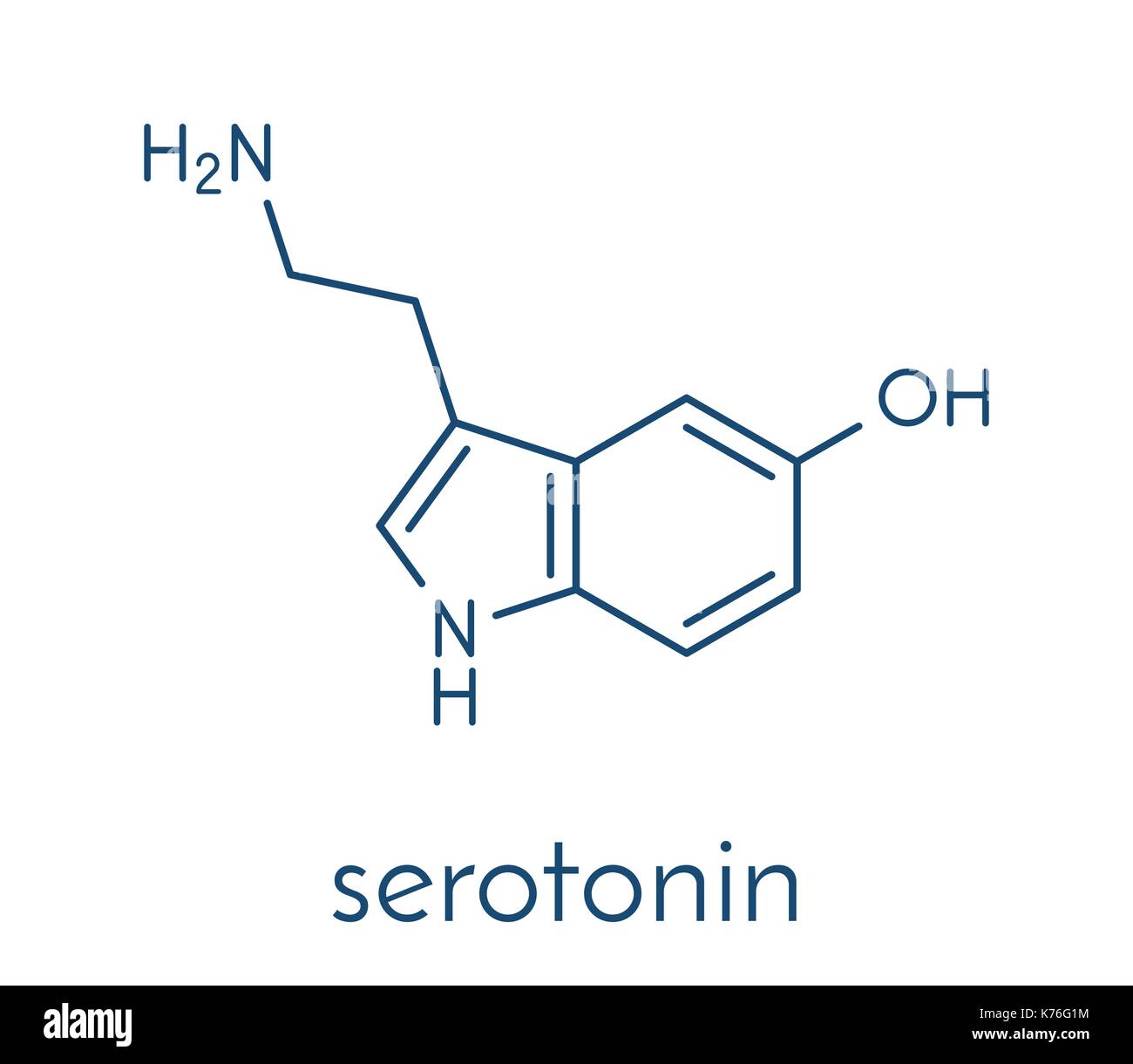 Serotonin neurotransmitter molecule. Skeletal formula Stock Vector ...