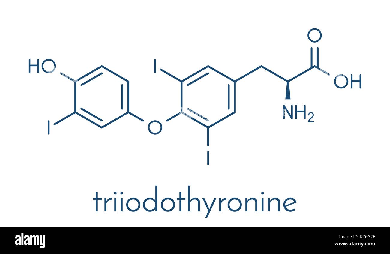 Triiodothyronine (T3, liothyronine) thyroid hormone molecule Stock ... Triiodothyronine (T3, liothyronine) thyroid hormone molecule Stock ...