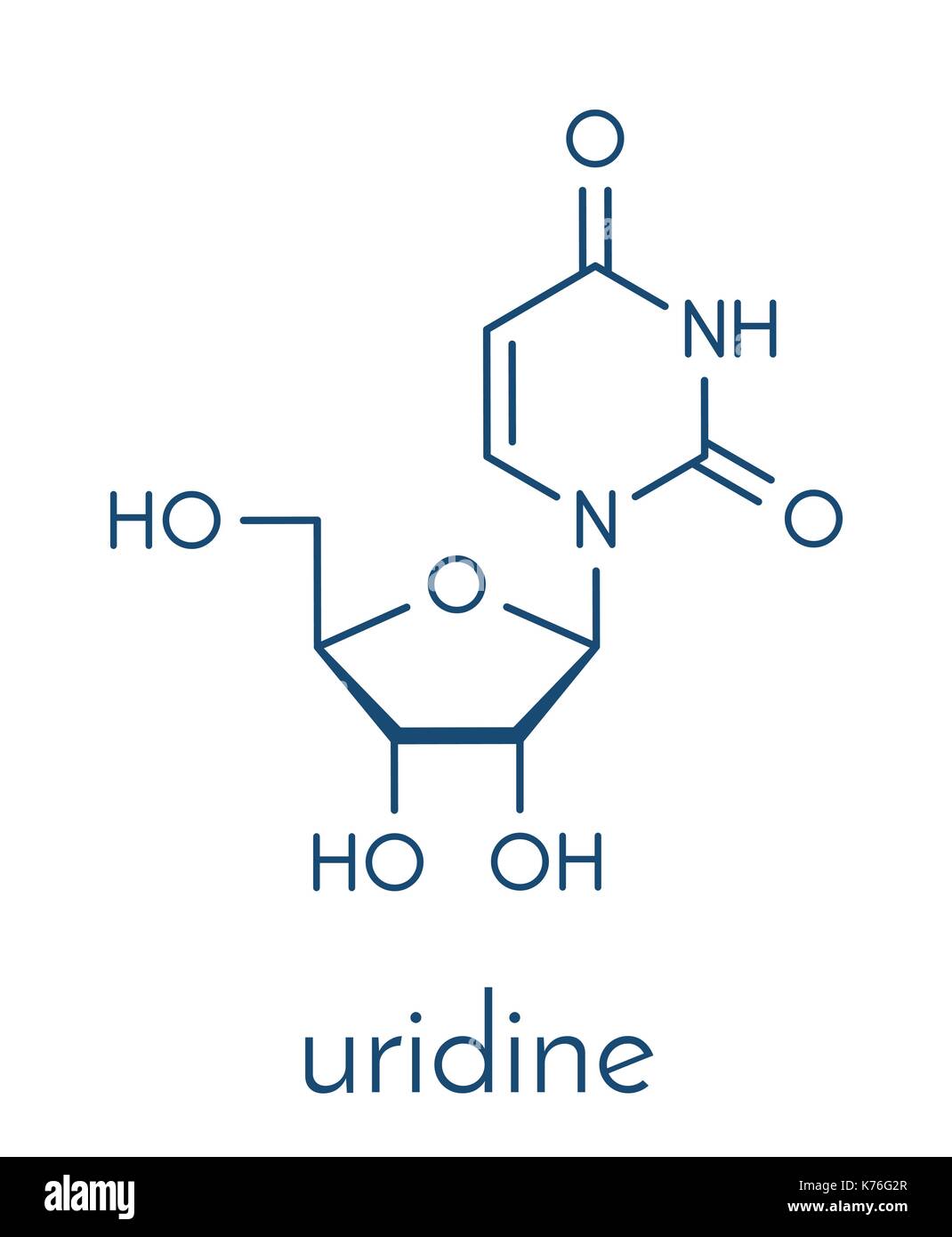 Uridine nucleoside molecule. Building block of RNA. Skeletal formula ...