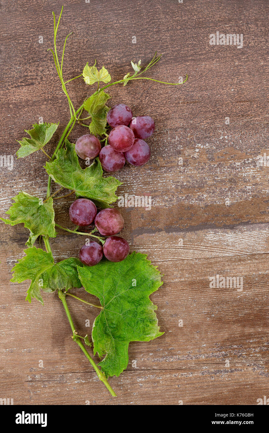 Bunch red grape hi-res stock photography and images - Alamy