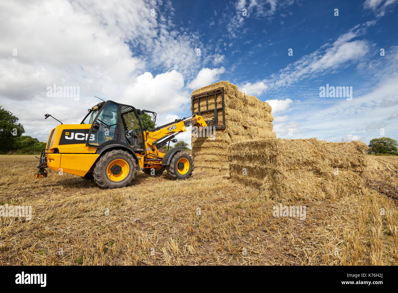 Stacking Straw bales with a JCB TM 130s during harvest UK Stock Photo ...