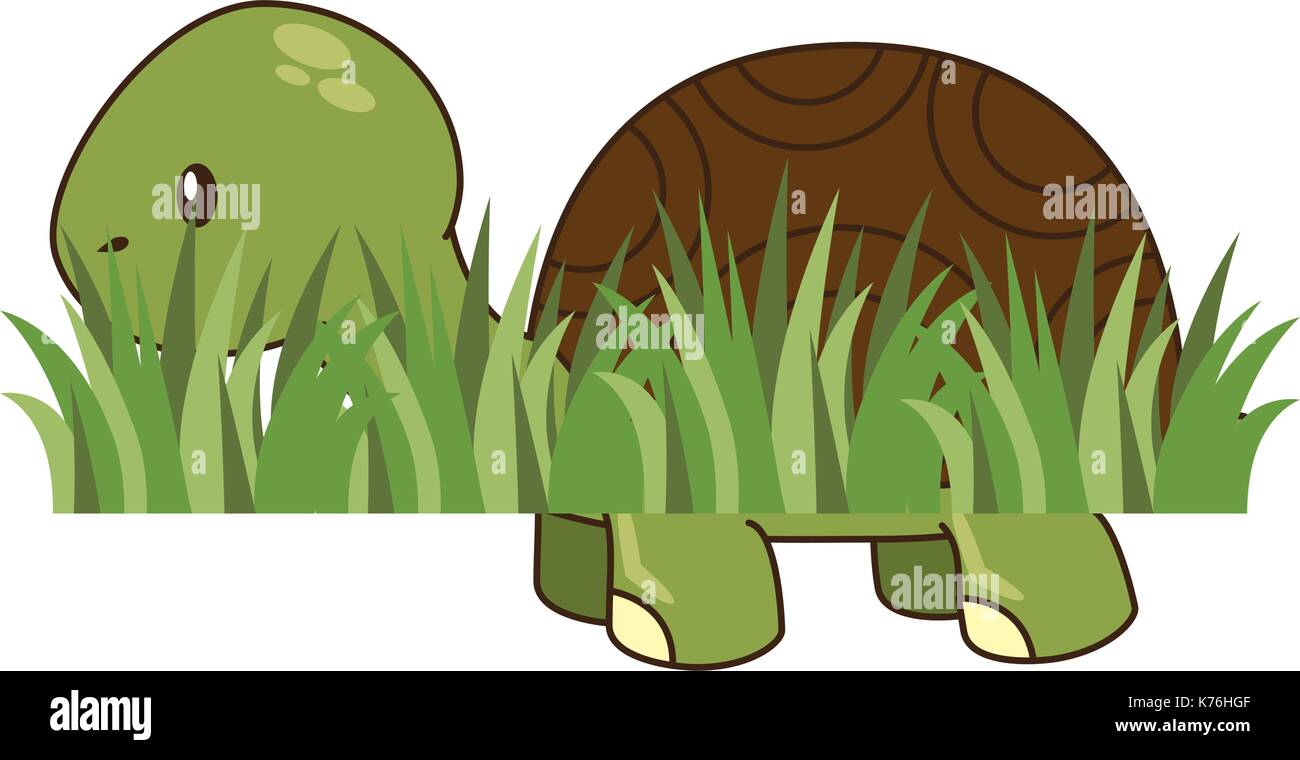 cute turtle in grass vector illustration design Stock Vector Image ...