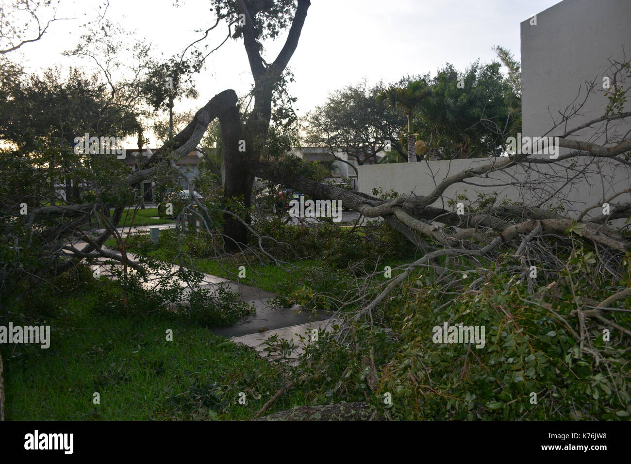 Images of hurricane irma in miami hi-res stock photography and images ...