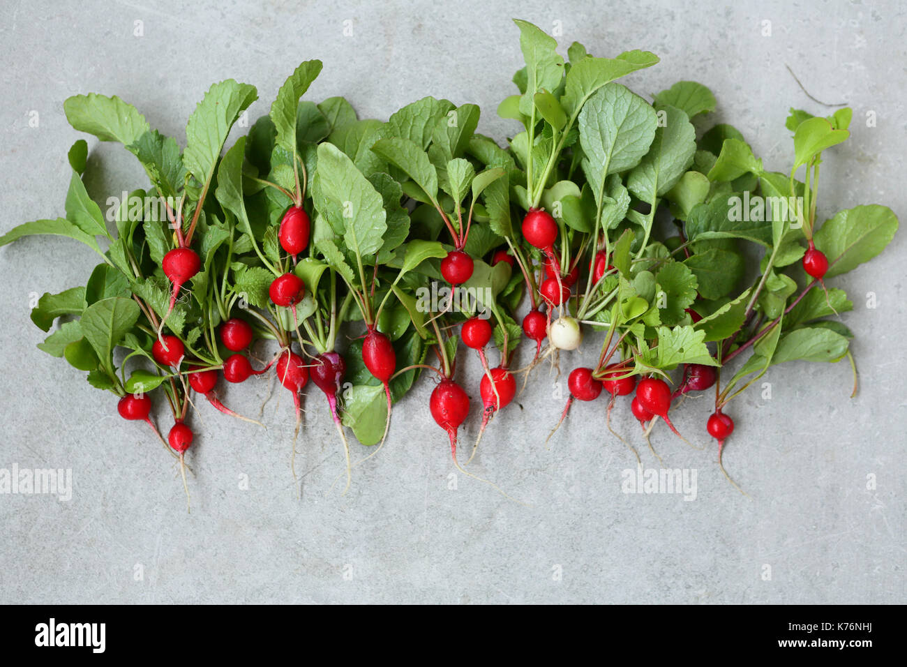 Baby radish hi-res stock photography and images - Alamy