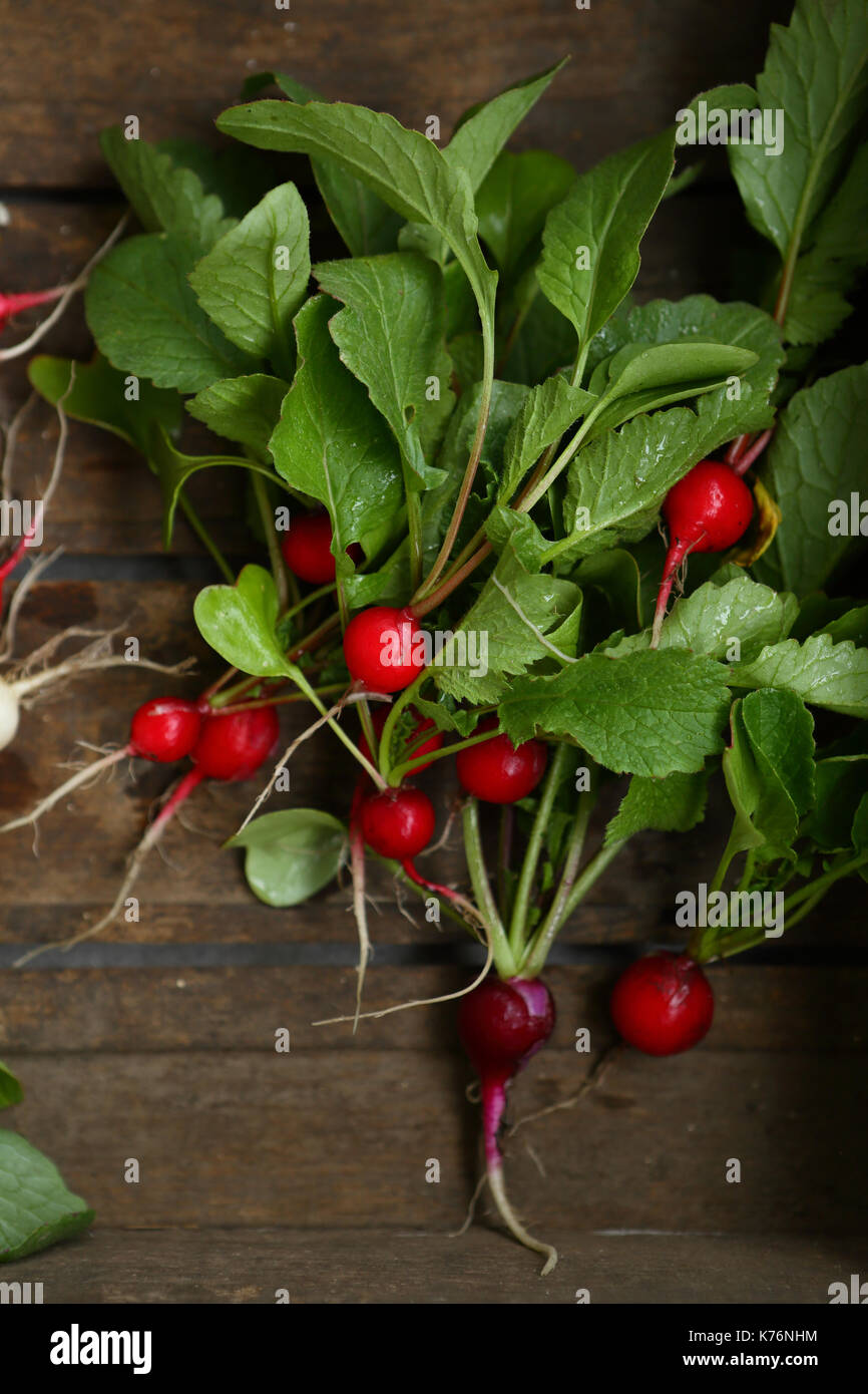 Radish top view Stock Photo - Alamy
