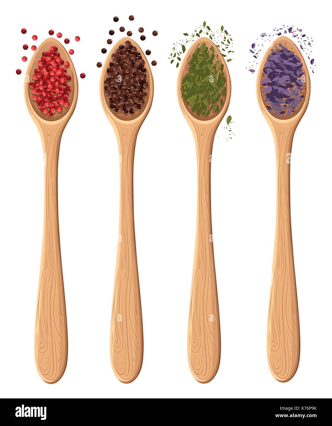 Spices in the spoons isolated on white photo-realistic vector ...