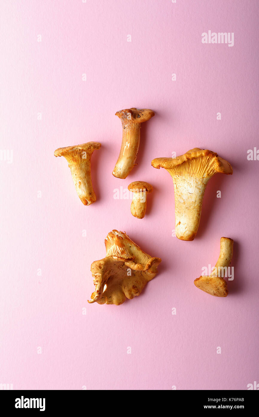 Food color background with chanterelle, flat lay Stock Photo - Alamy