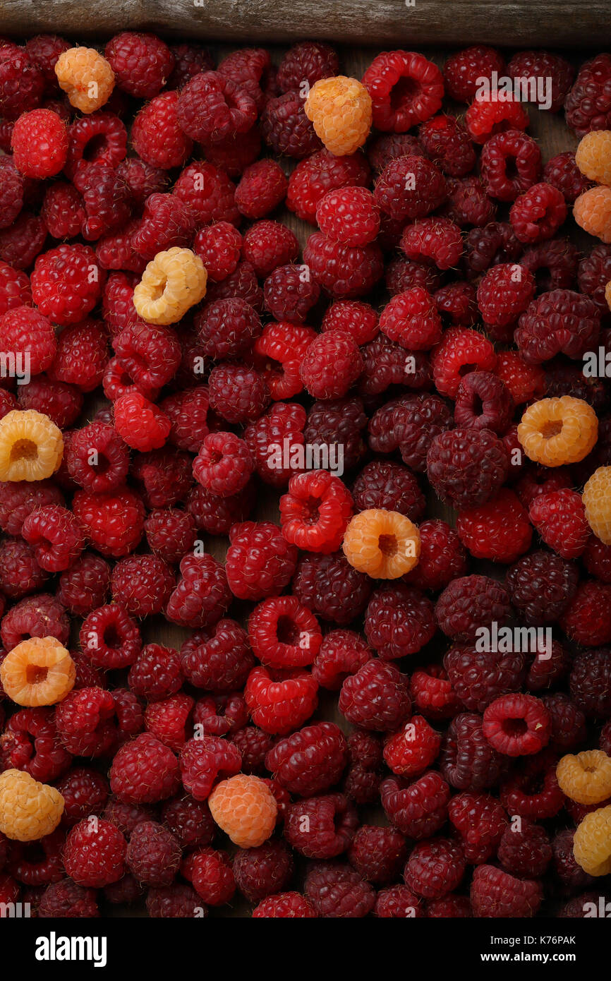 Red and yellow raspberry top view, background Stock Photo - Alamy