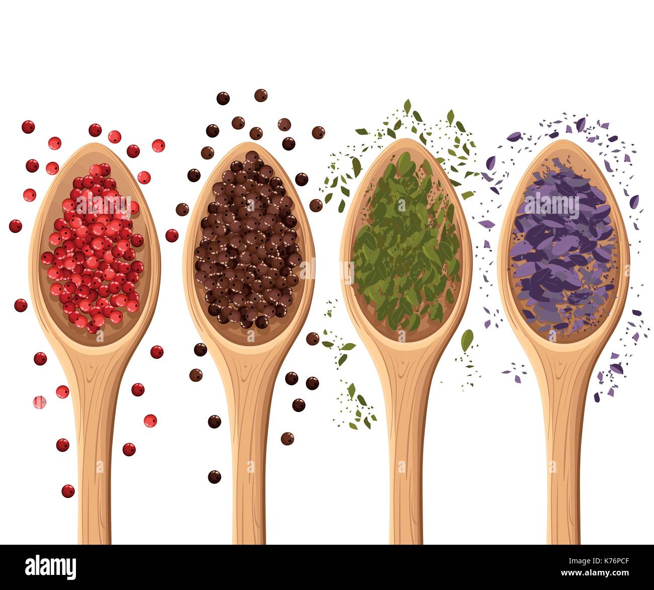 Spices in the spoons isolated on white photo-realistic vector ...