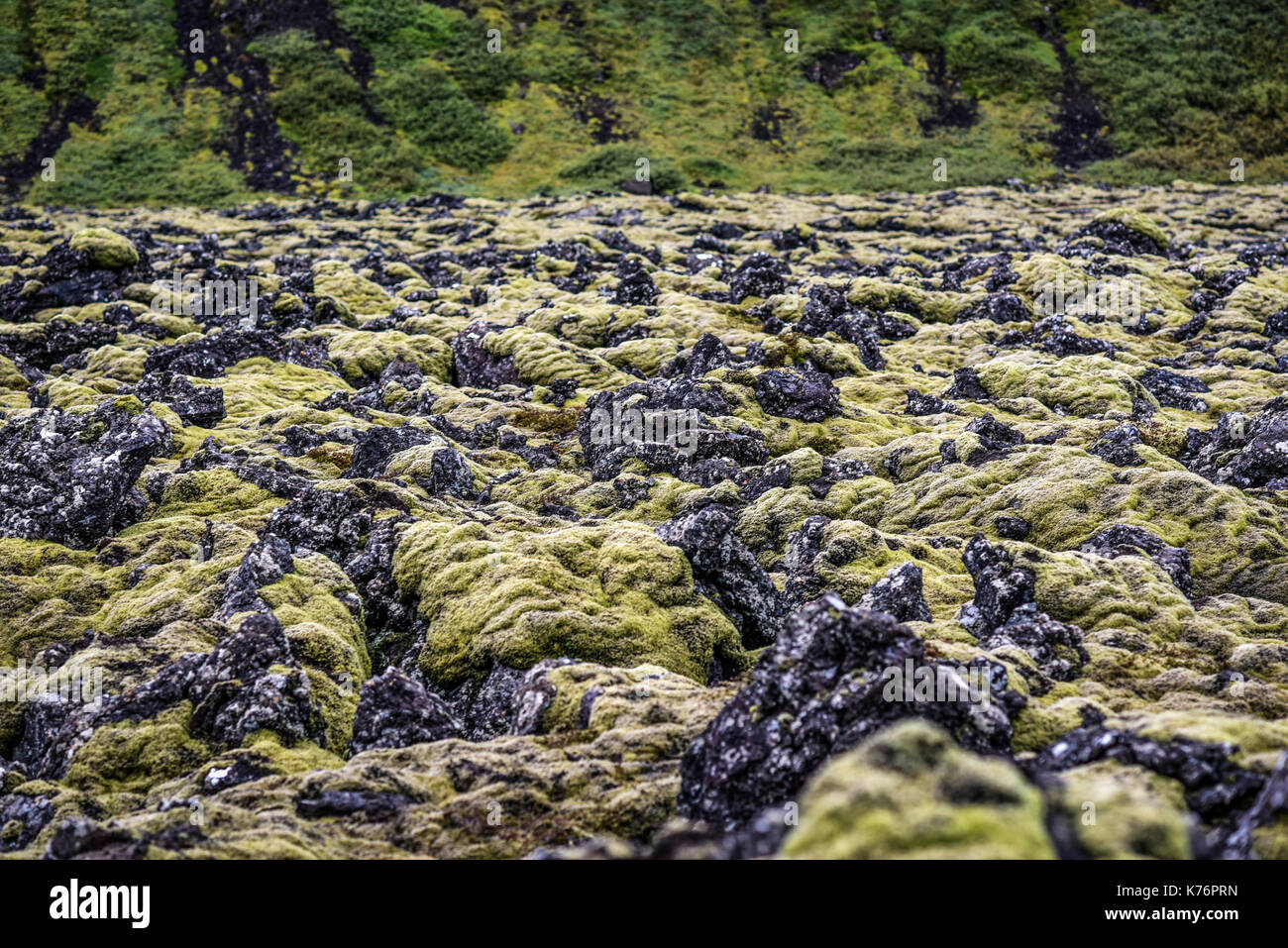 Volcanic fields hi-res stock photography and images - Alamy