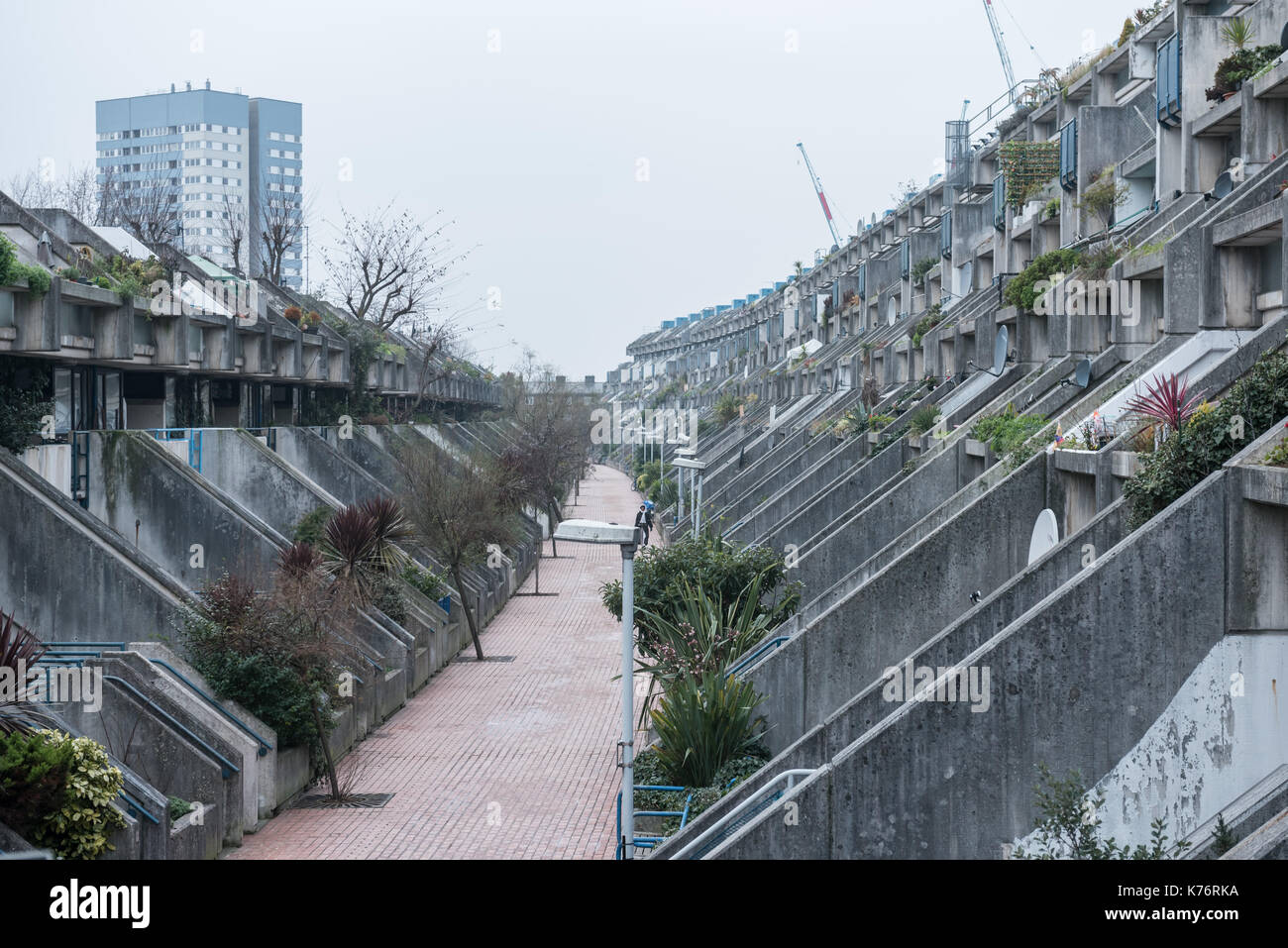 Abbey neave hi-res stock photography and images - Alamy