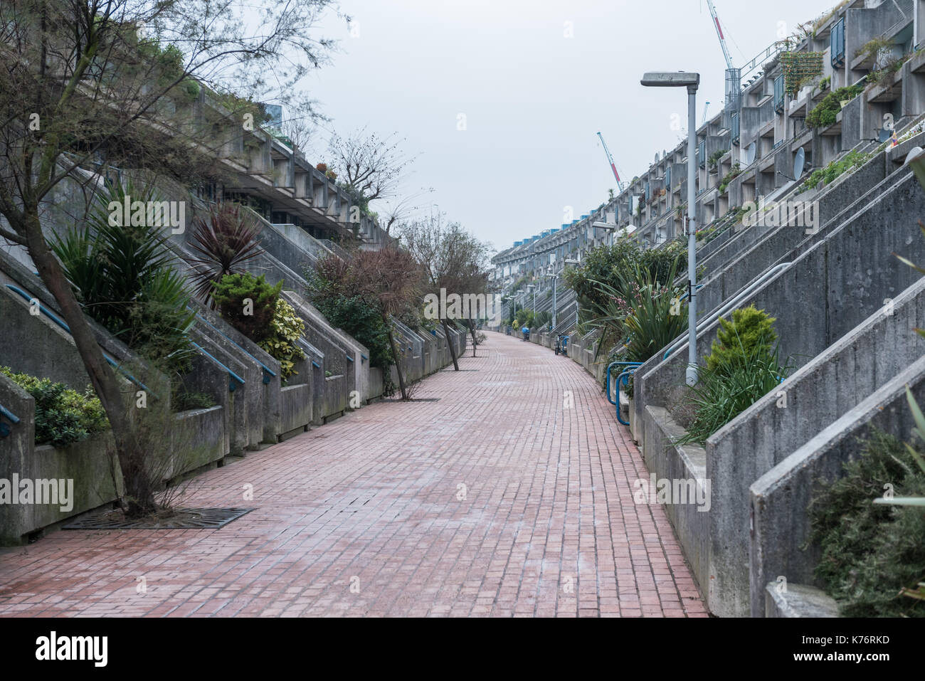 Abbey neave hi-res stock photography and images - Alamy
