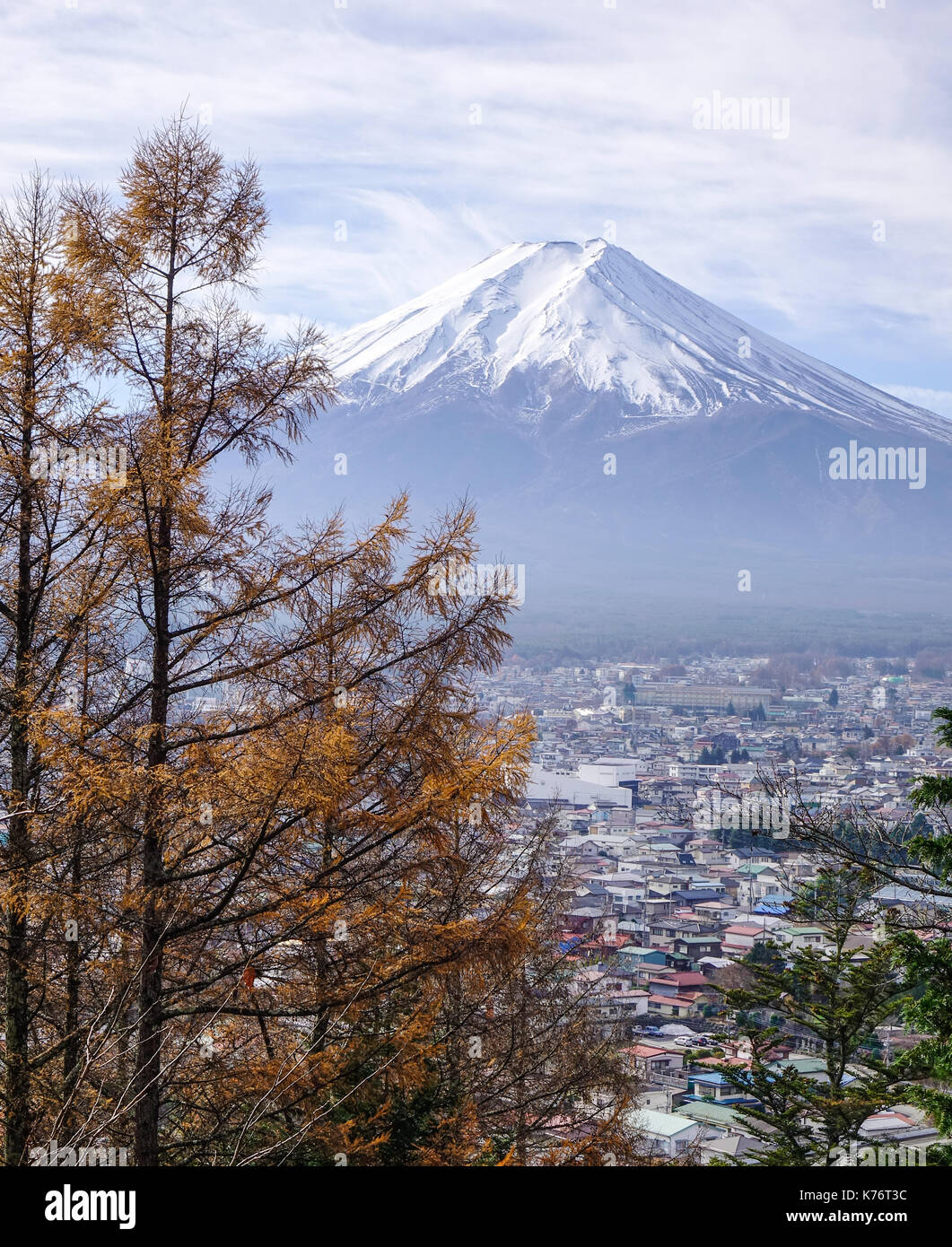 View of Fujisan with pine trees in Yamanashi, Japan. View from top of ...