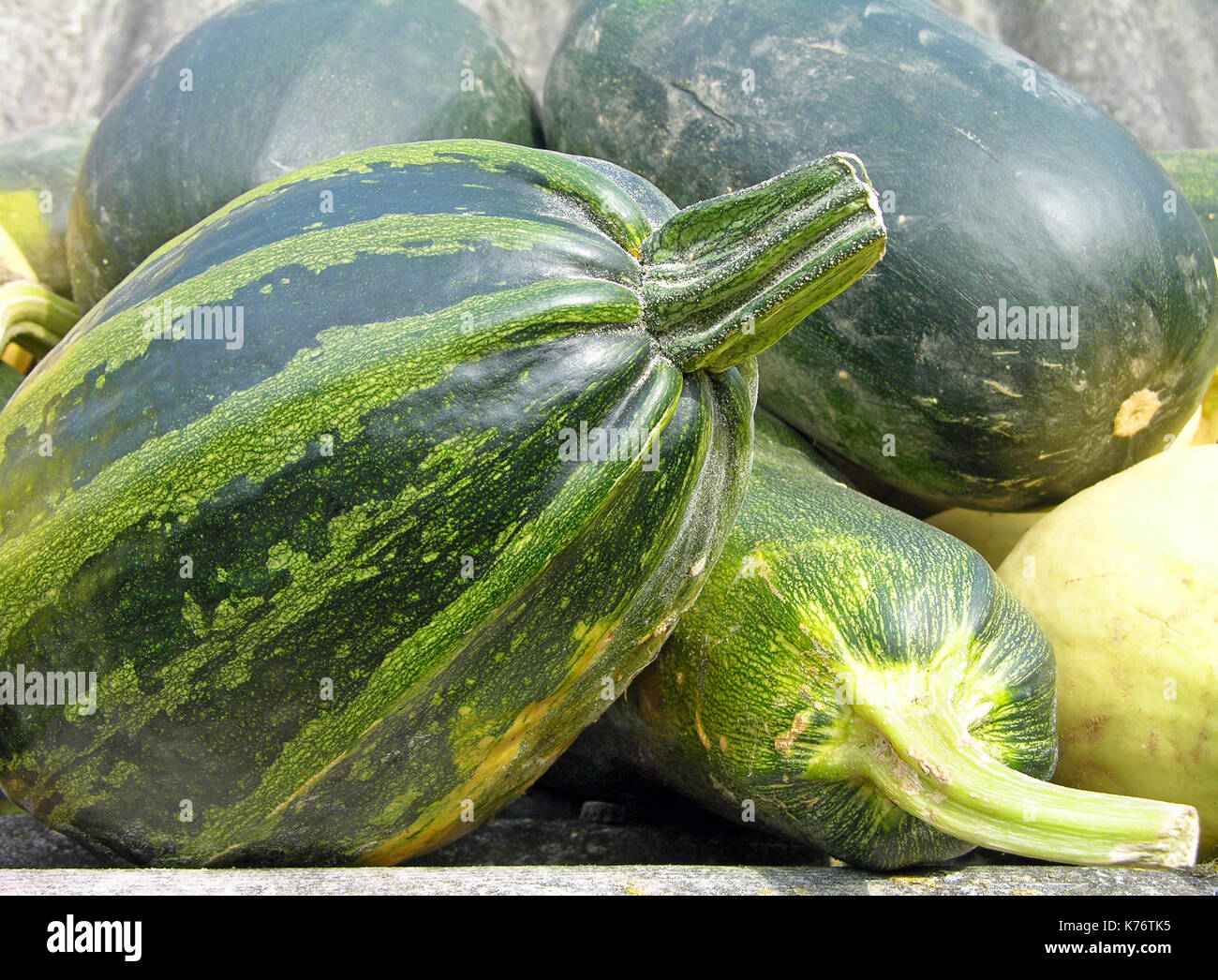 Large vegetable marrows Stock Photo - Alamy