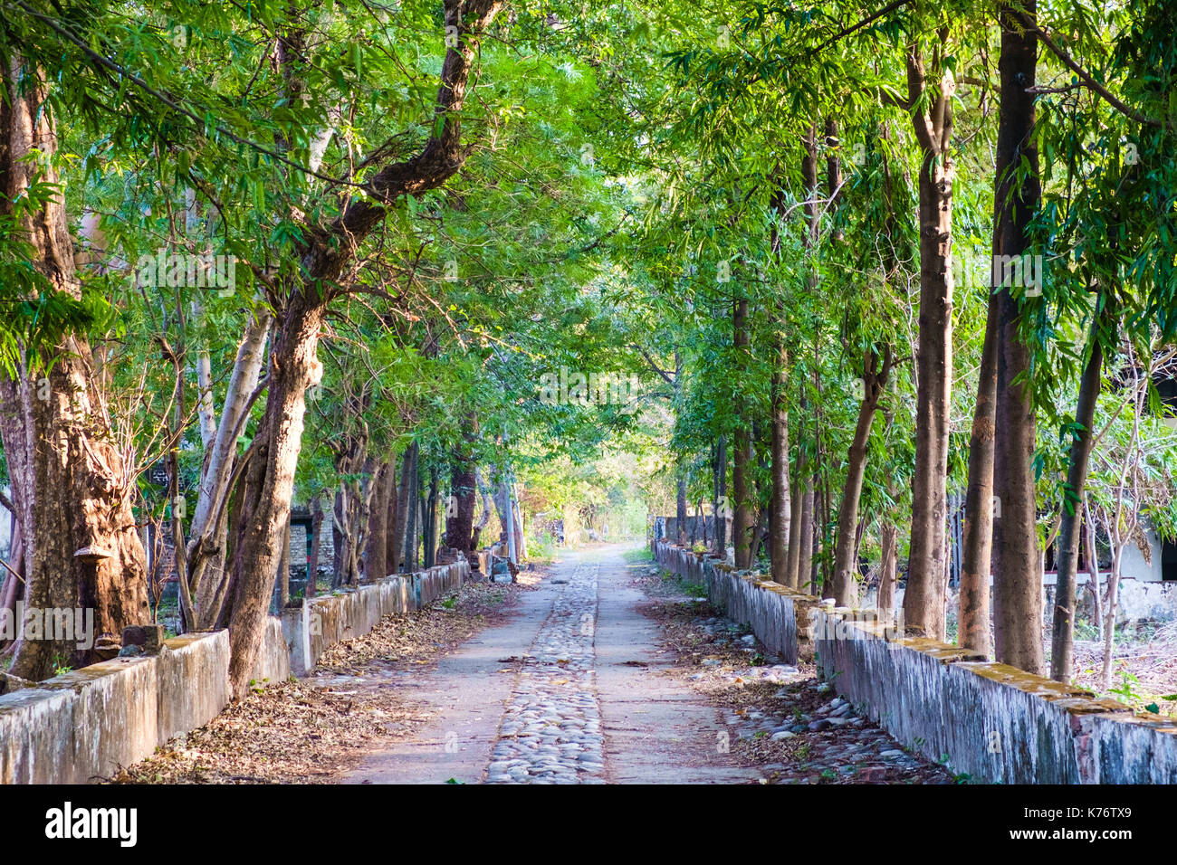 Walkway trough the abandoned Maharishi Mahesh Yogi Ashram (Beatles ...