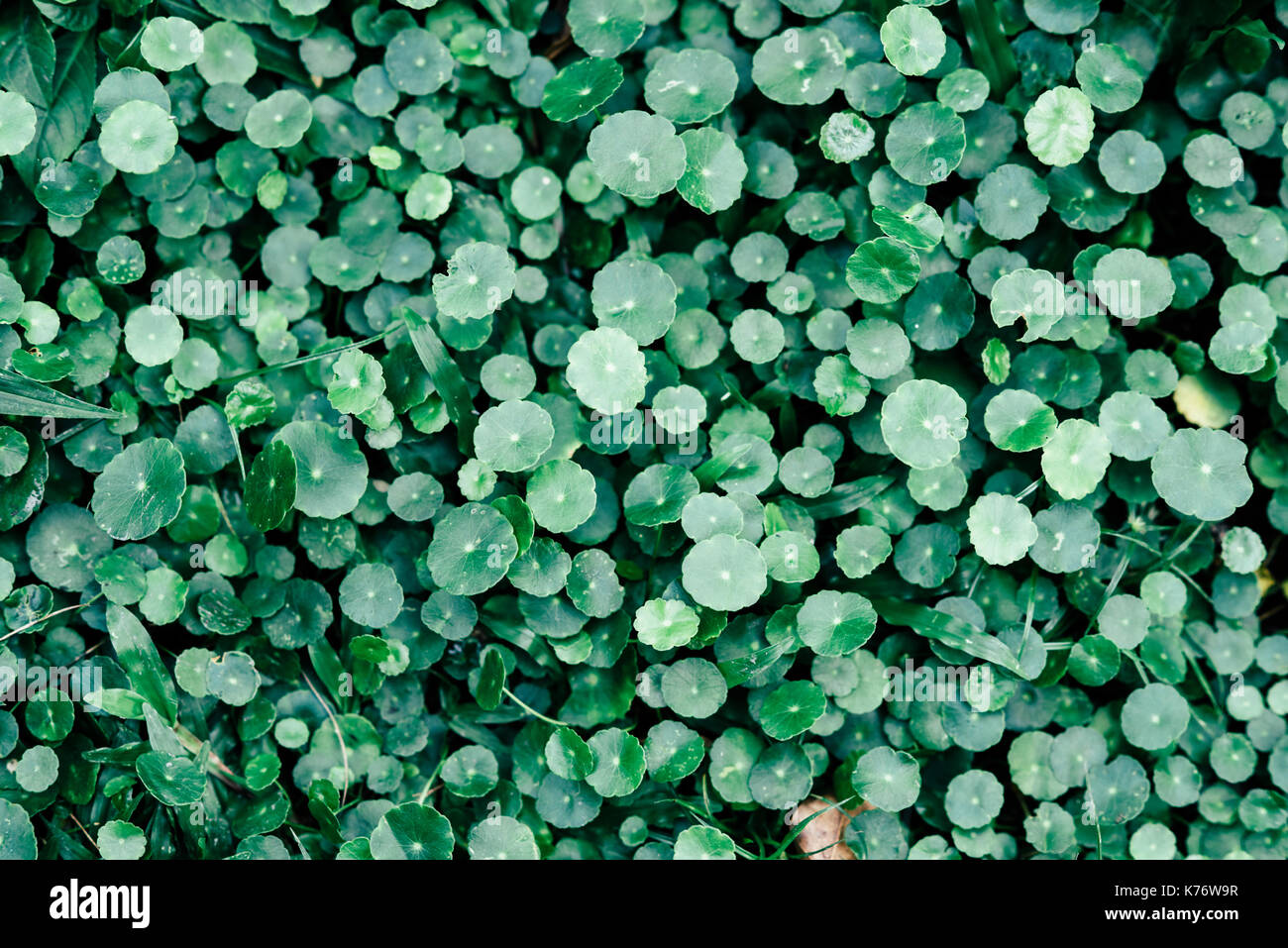 Ground background hi-res stock photography and images - Alamy