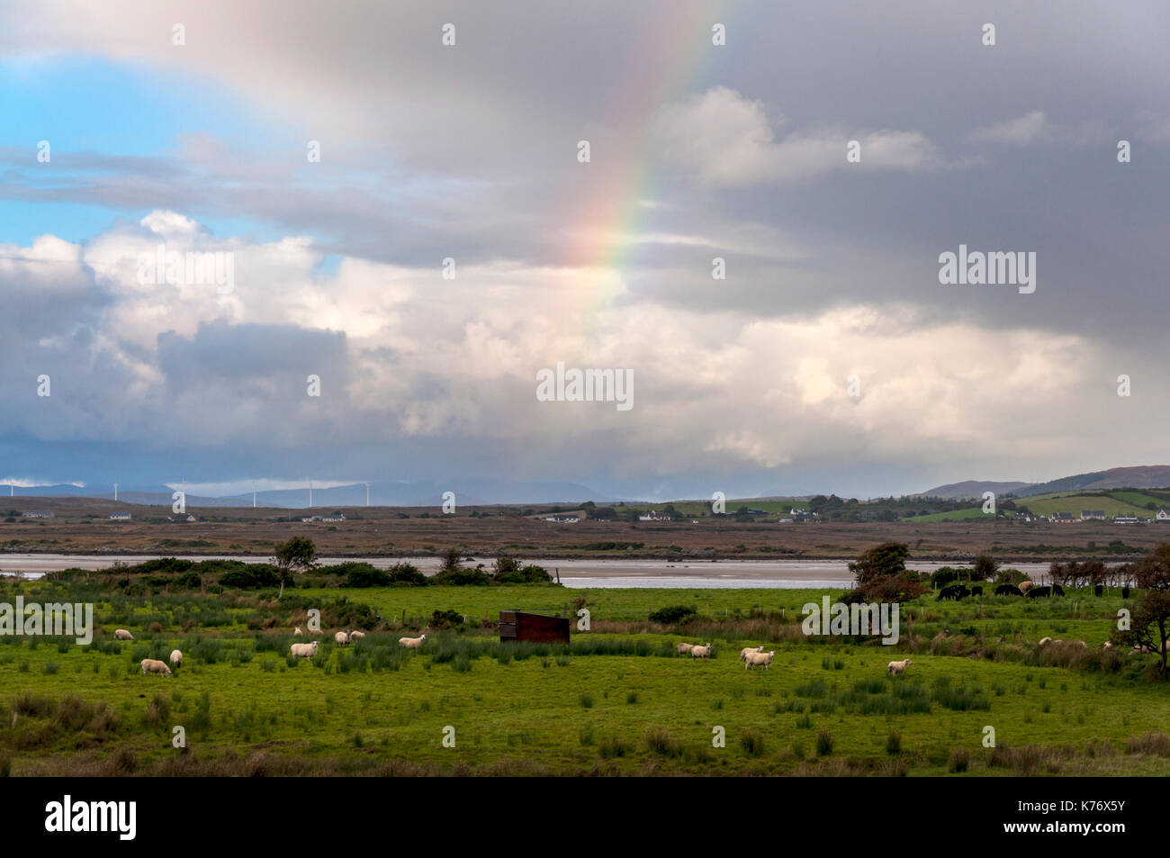 Sheep farm farming farms county donegal irish ireland landscape hi-res ...