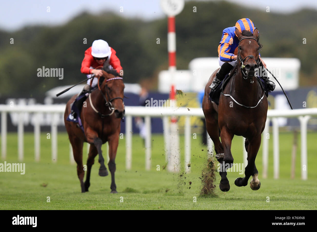 Win japan racing association sceptre stakes hi-res stock photography ...
