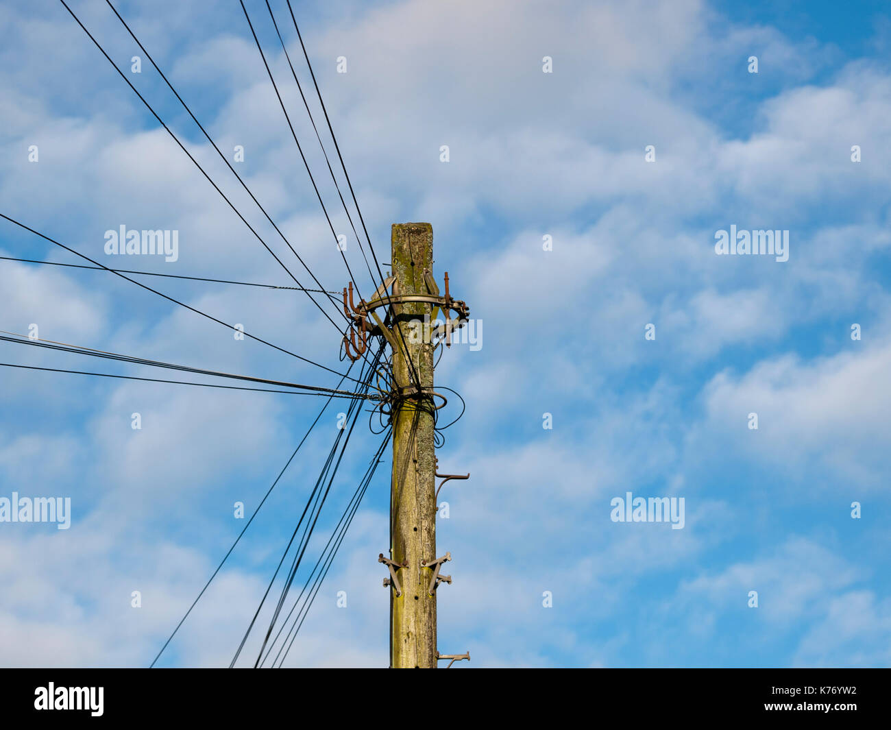 Telegraph pole carrying power and telephone lines in Barnstaple, devon ...