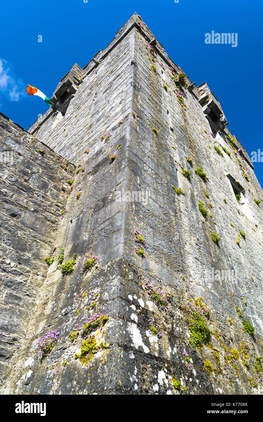 Medieval tower house ireland hi-res stock photography and images - Alamy