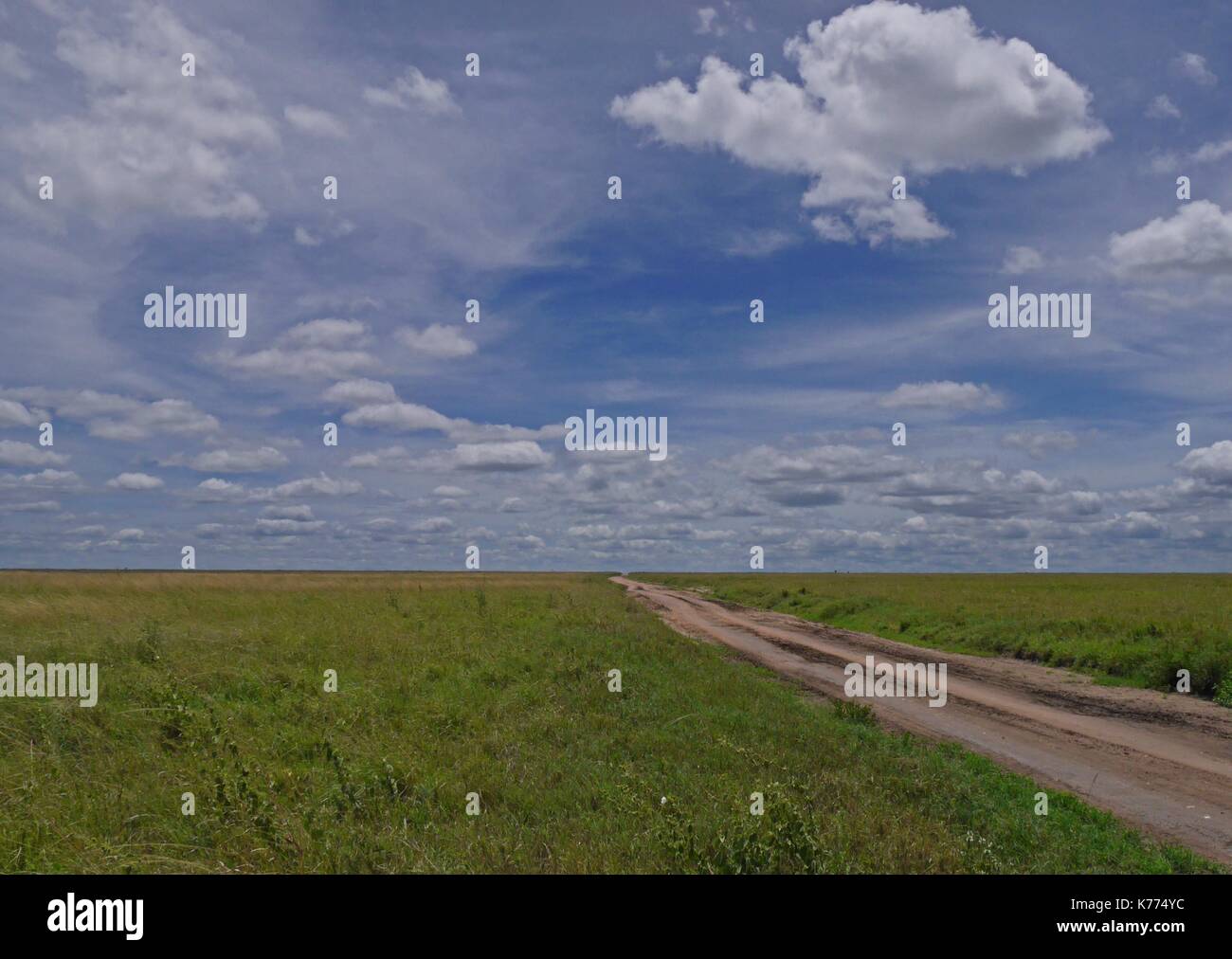 Savanna grassland hi-res stock photography and images - Alamy