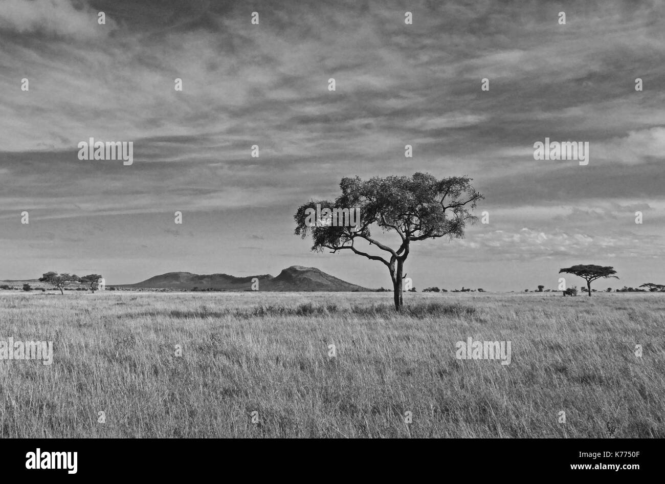 Vast open plains Black and White Stock Photos & Images - Alamy