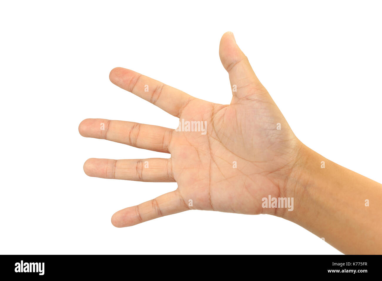Empty hand isolated on white background Stock Photo - Alamy