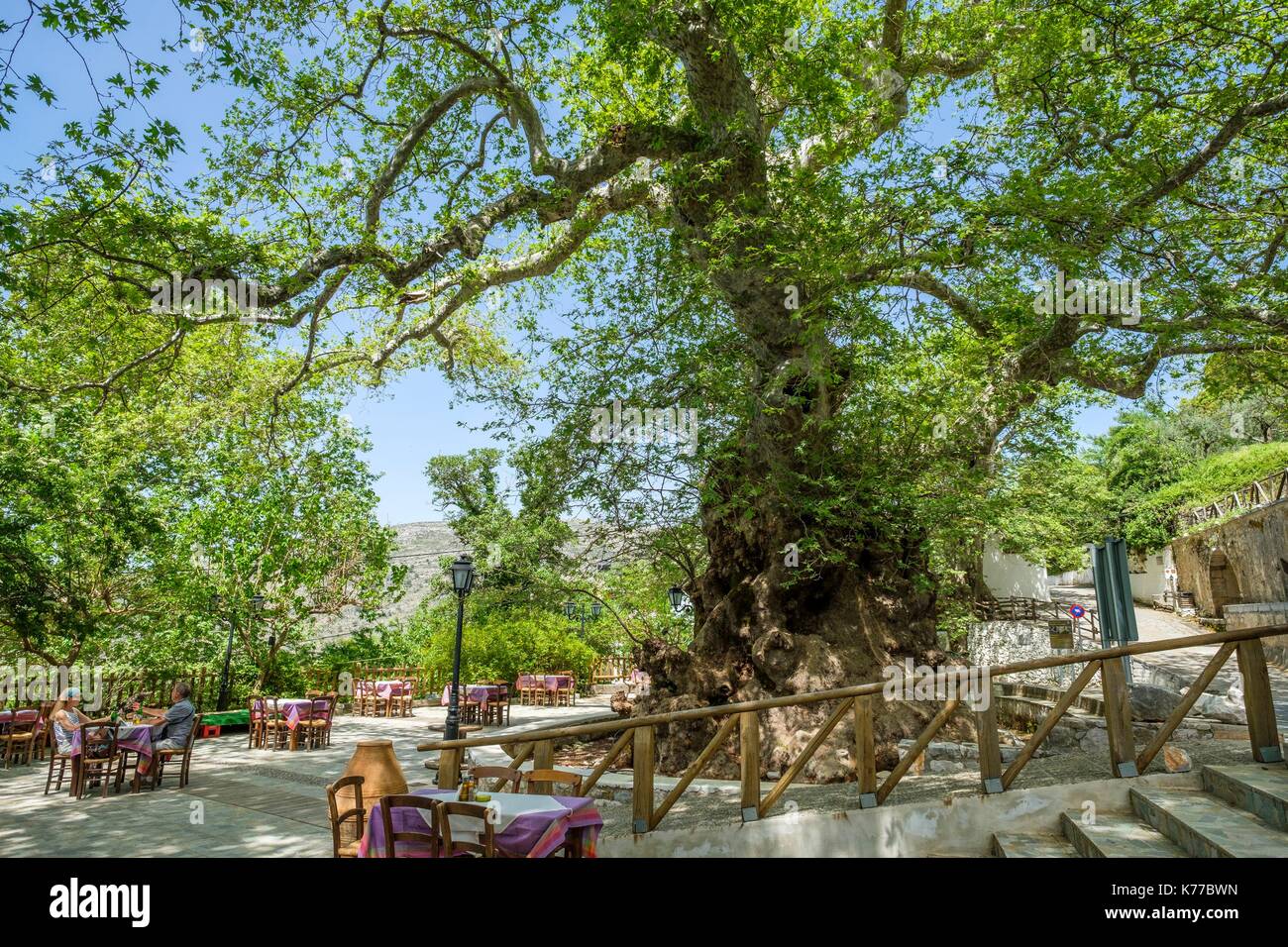 Greece, Eastern Crete, Lassithi district, Krasi village on the way to ...