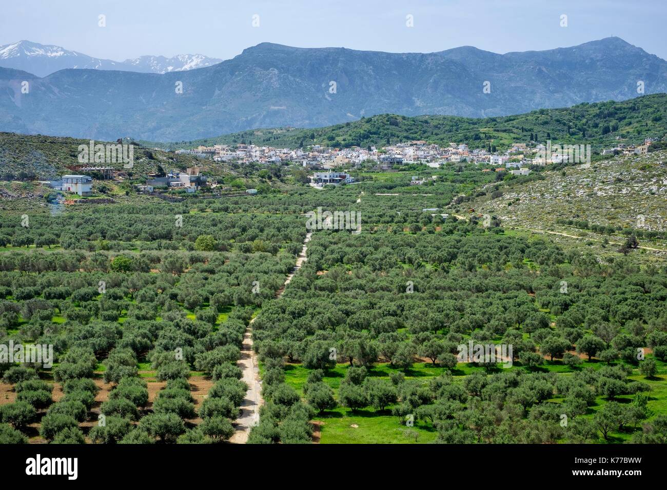 Greece, Eastern Crete, Lassithi district, Mohos village on the way to ...