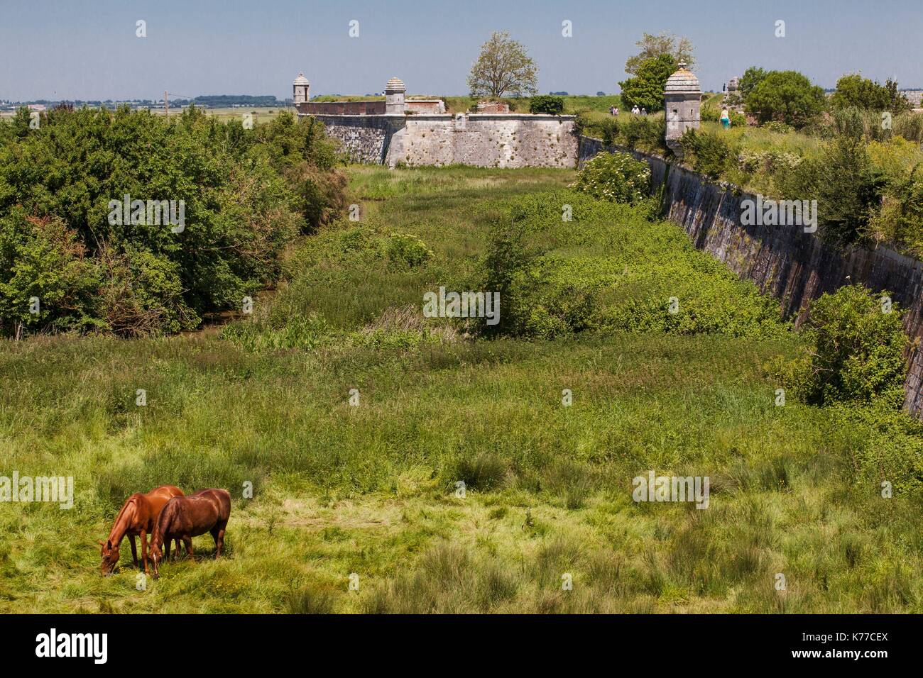 France, Charente Maritime, Hiers Brouage, Citadel of Brouage, walls and ...