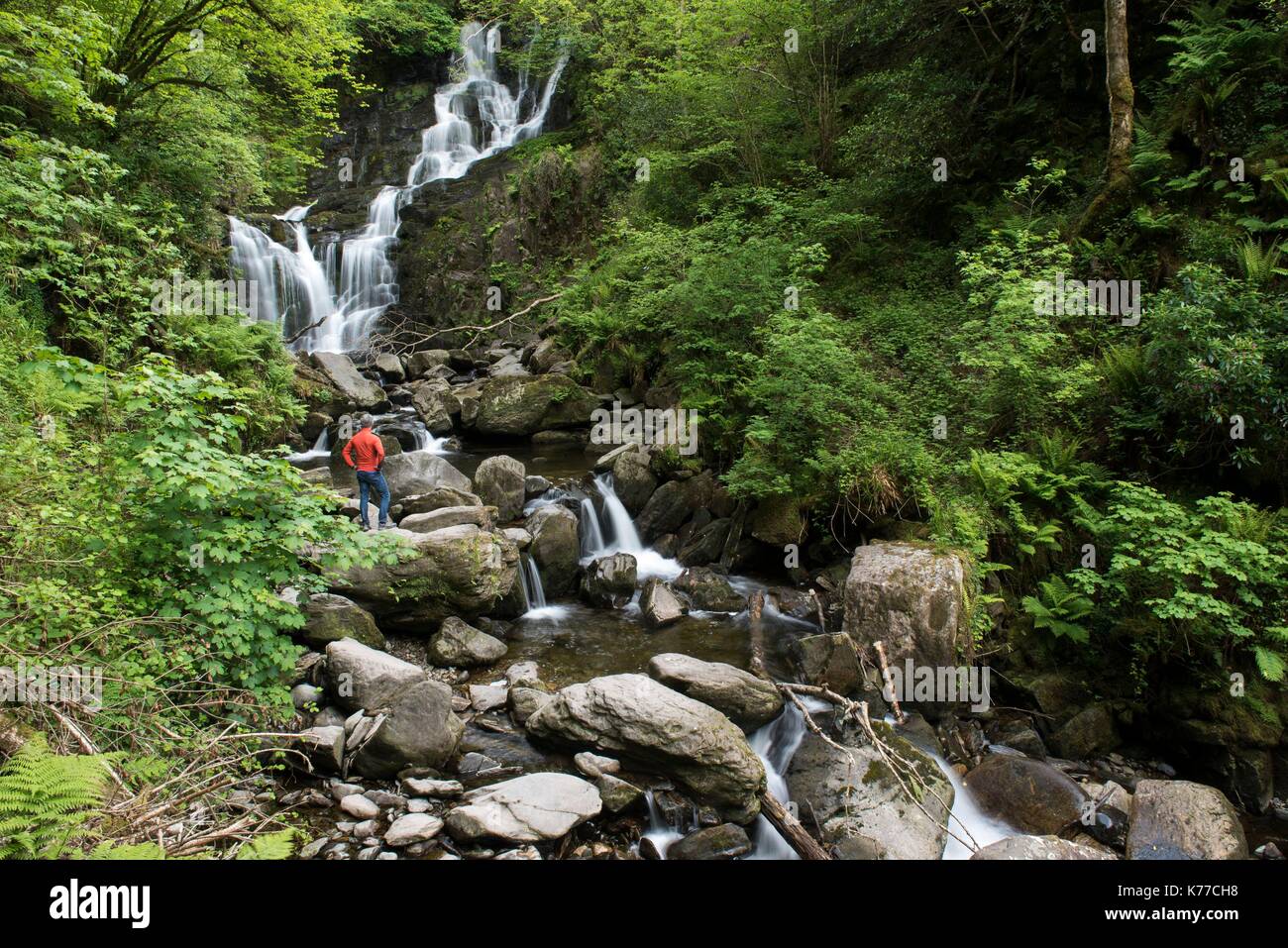 Ireland, County Kerry, Killarney National Park, Ring of Kerry, Torc ...