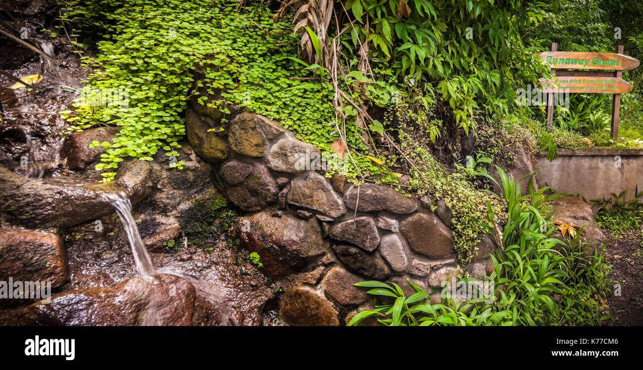 United Kingdom, Montserrat, English-speaking Caribbean, Woodlands ...