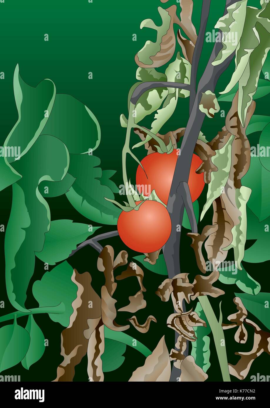 Bacteria and plant Stock Vector Images - Alamy