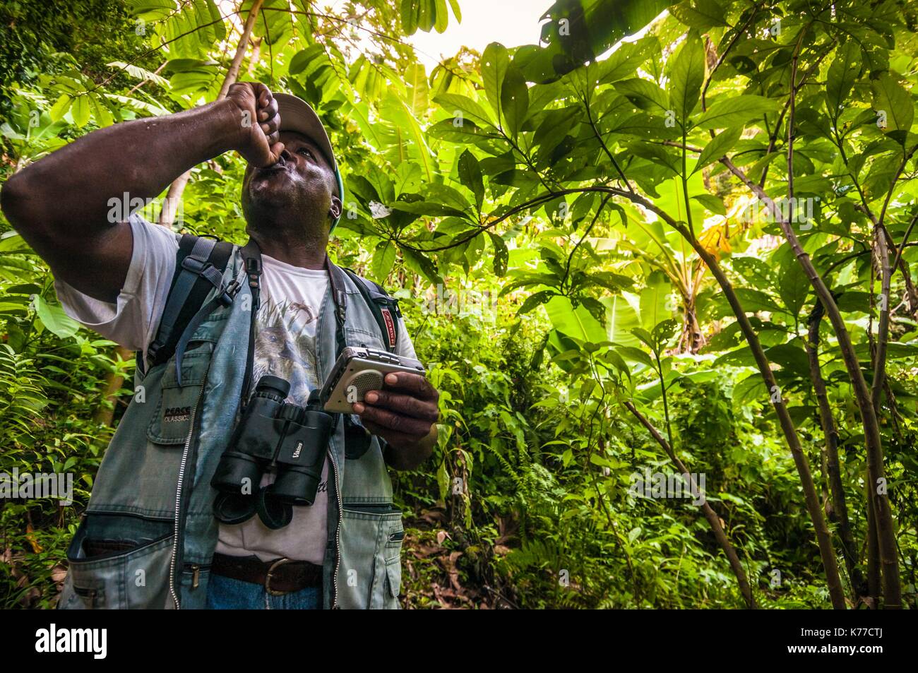 United Kingdom, Montserrat, English-speaking Caribbean, Woodlands ...