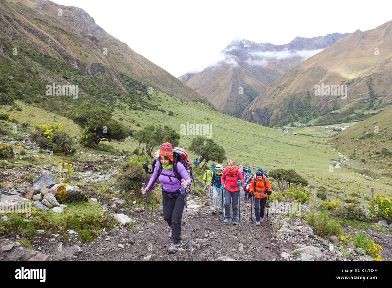 Perou, Province of Cuzco, Salkantay massif, Salkantay trek to Machu ...