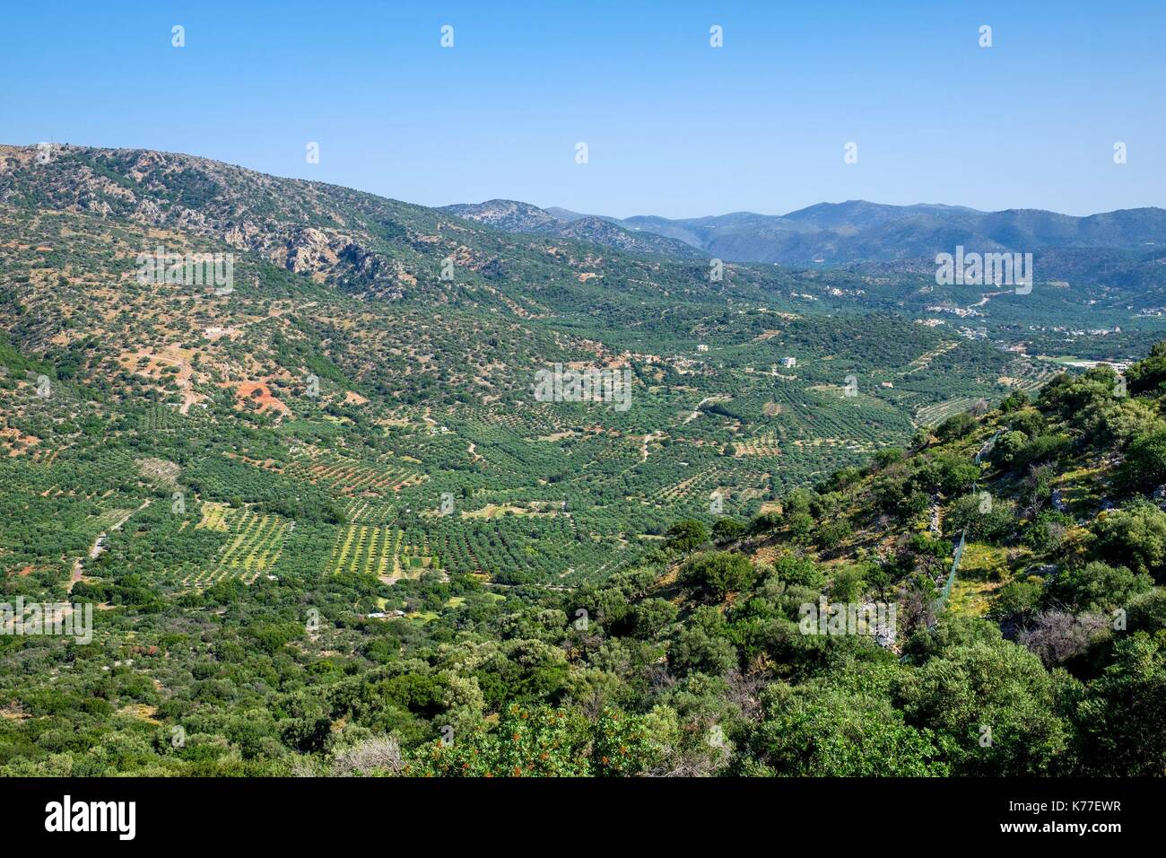 Greece, Eastern Crete, Lassithi district, hills covered with olive ...