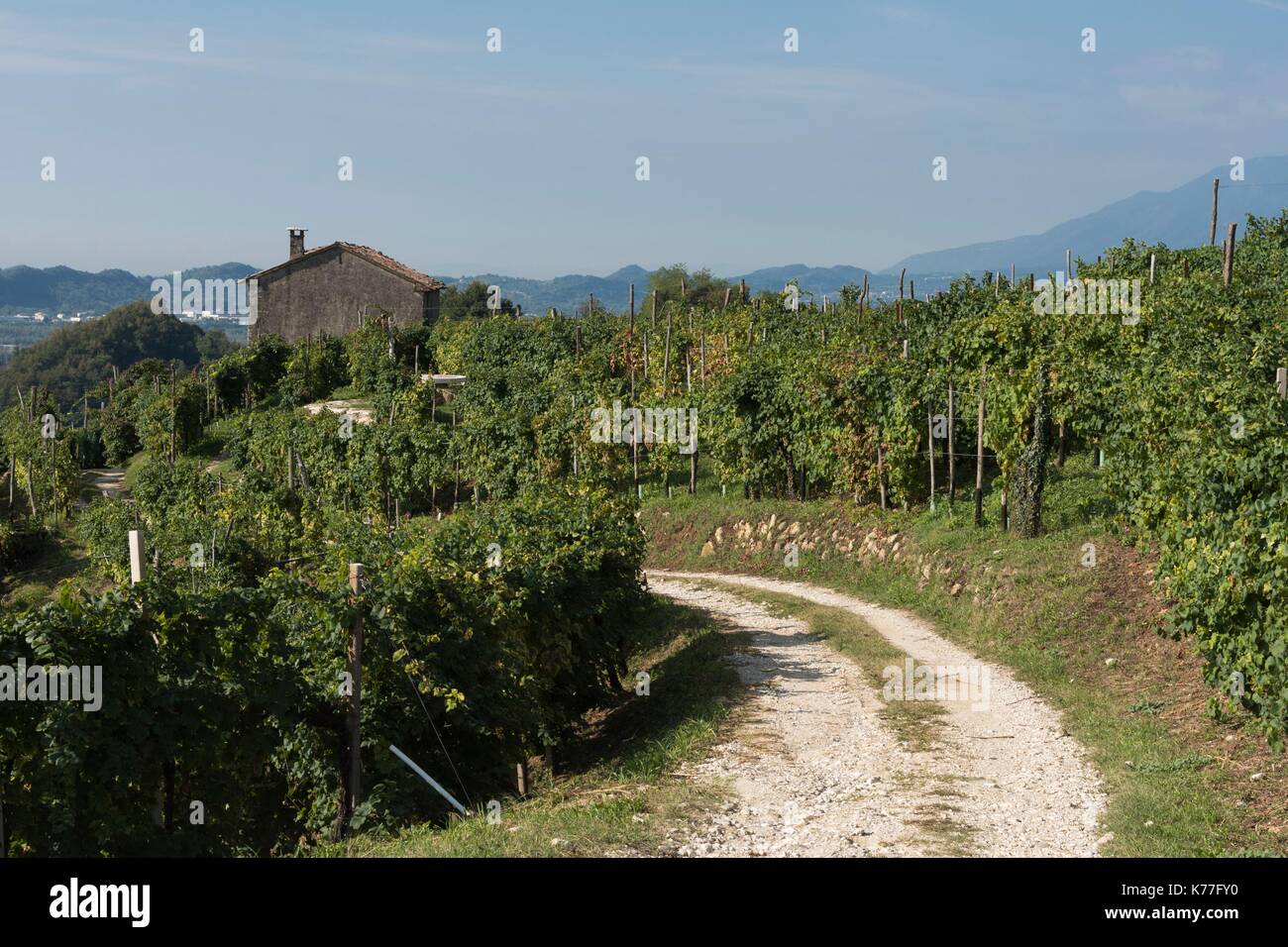 Valdobbiadene, Veneto, Italy Stock Photo - Alamy