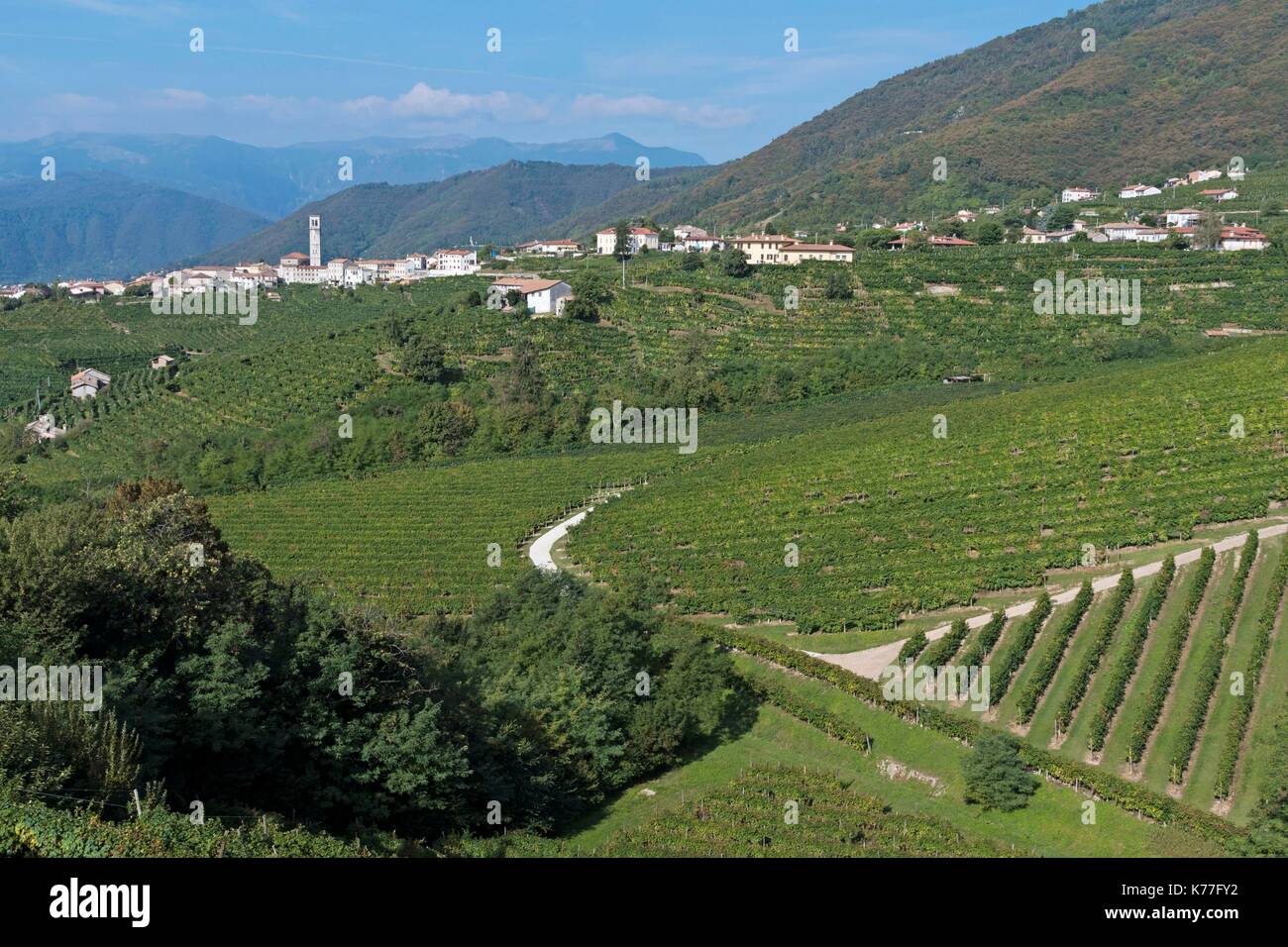 Guia di valdobbiadene hi-res stock photography and images - Alamy