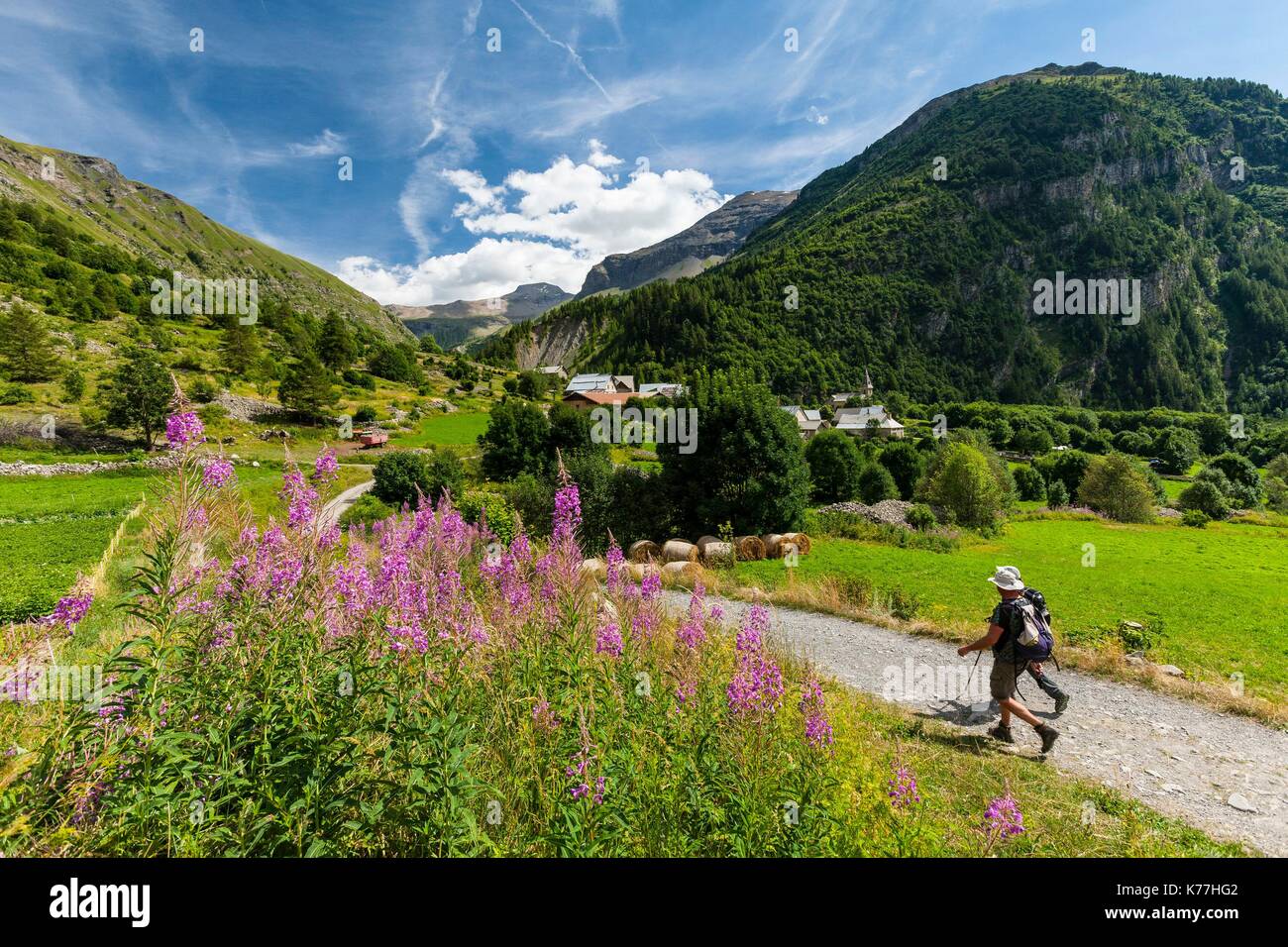 France, Hautes-Alpes, Orcieres Merlette, Prapic Stock Photo - Alamy