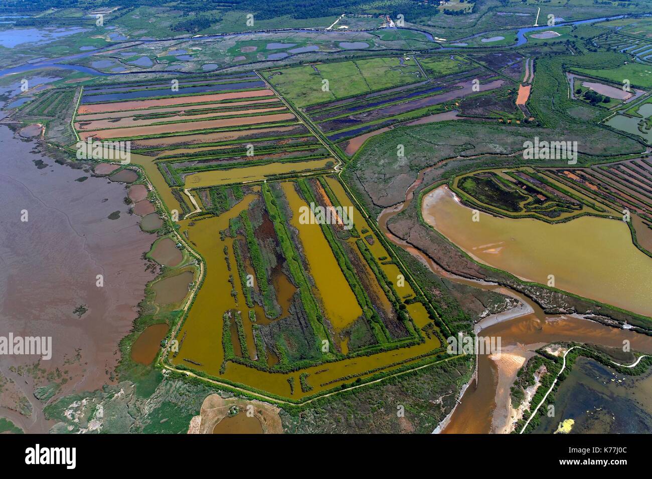 France, Gironde, Bassin d'Arcachon, Cap Ferret, Le Teich and Biganos ...