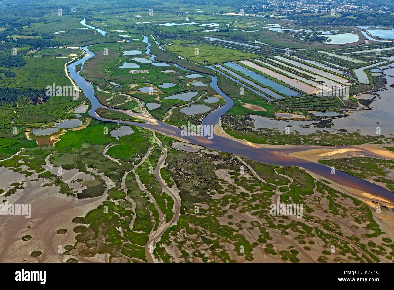 France, Gironde, Bassin d'Arcachon, Cap Ferret, Le Teich and Biganos ...