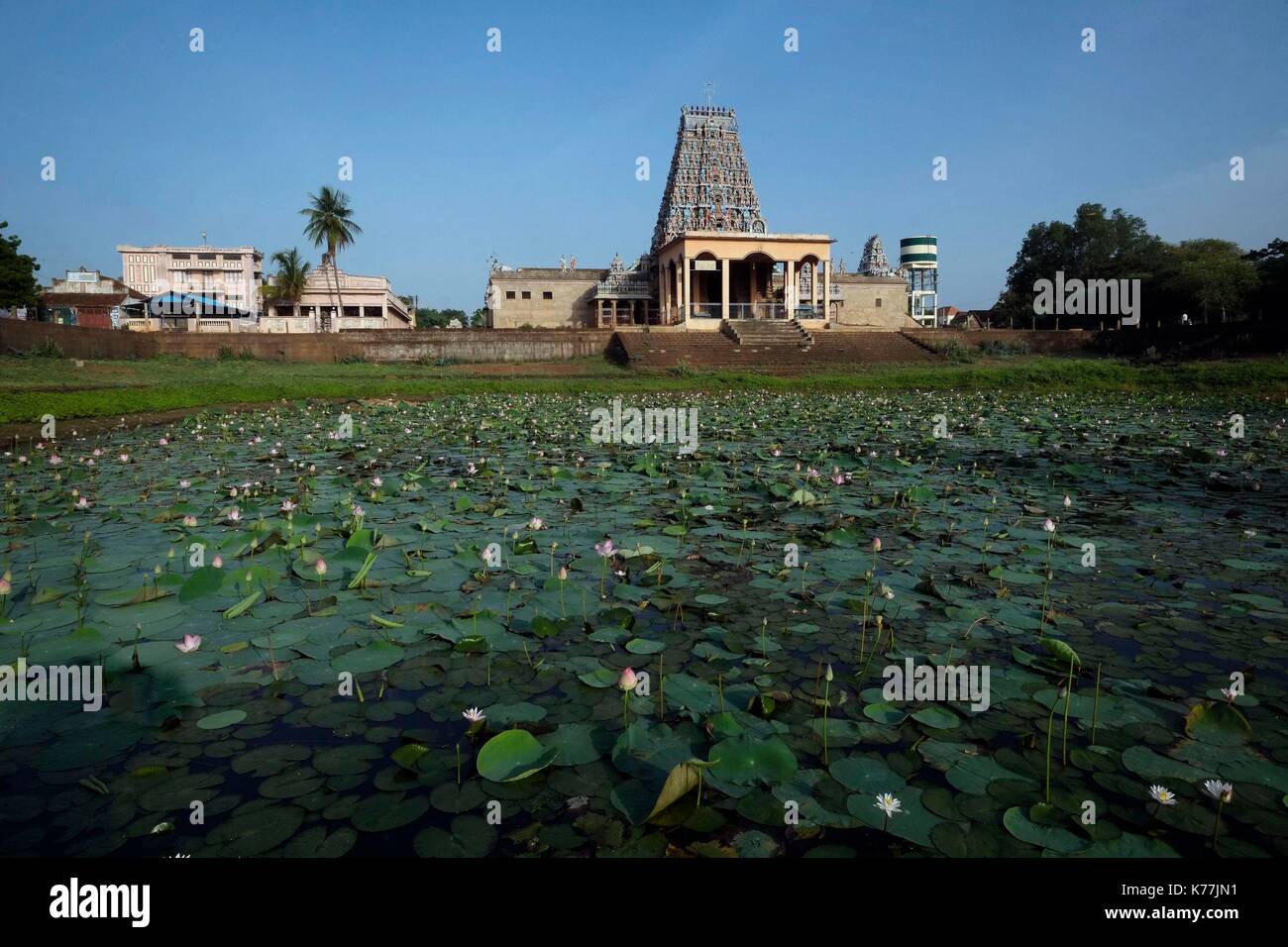 Chettiars' temple hi-res stock photography and images - Alamy