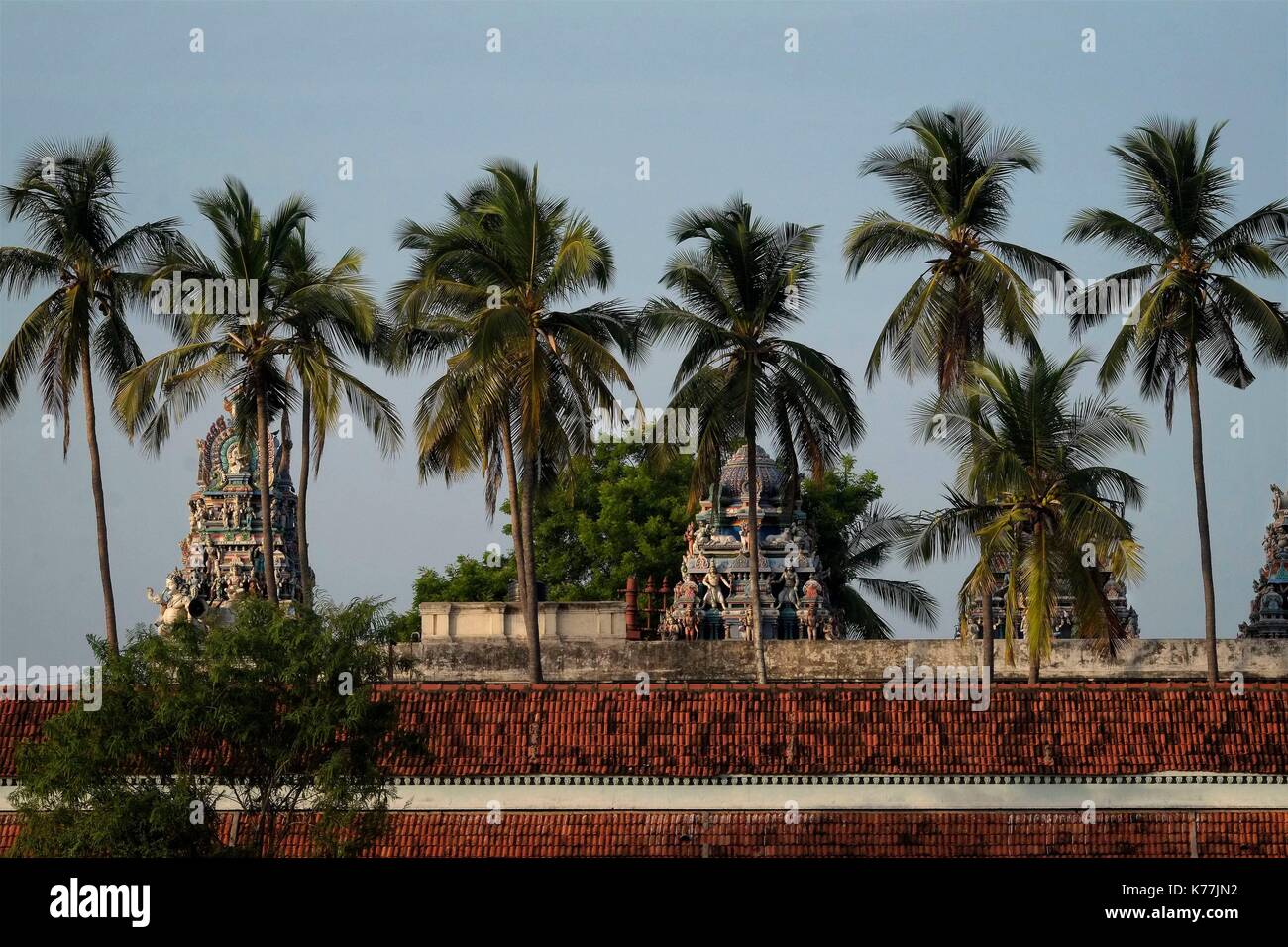 Chettiars' temple hi-res stock photography and images - Alamy
