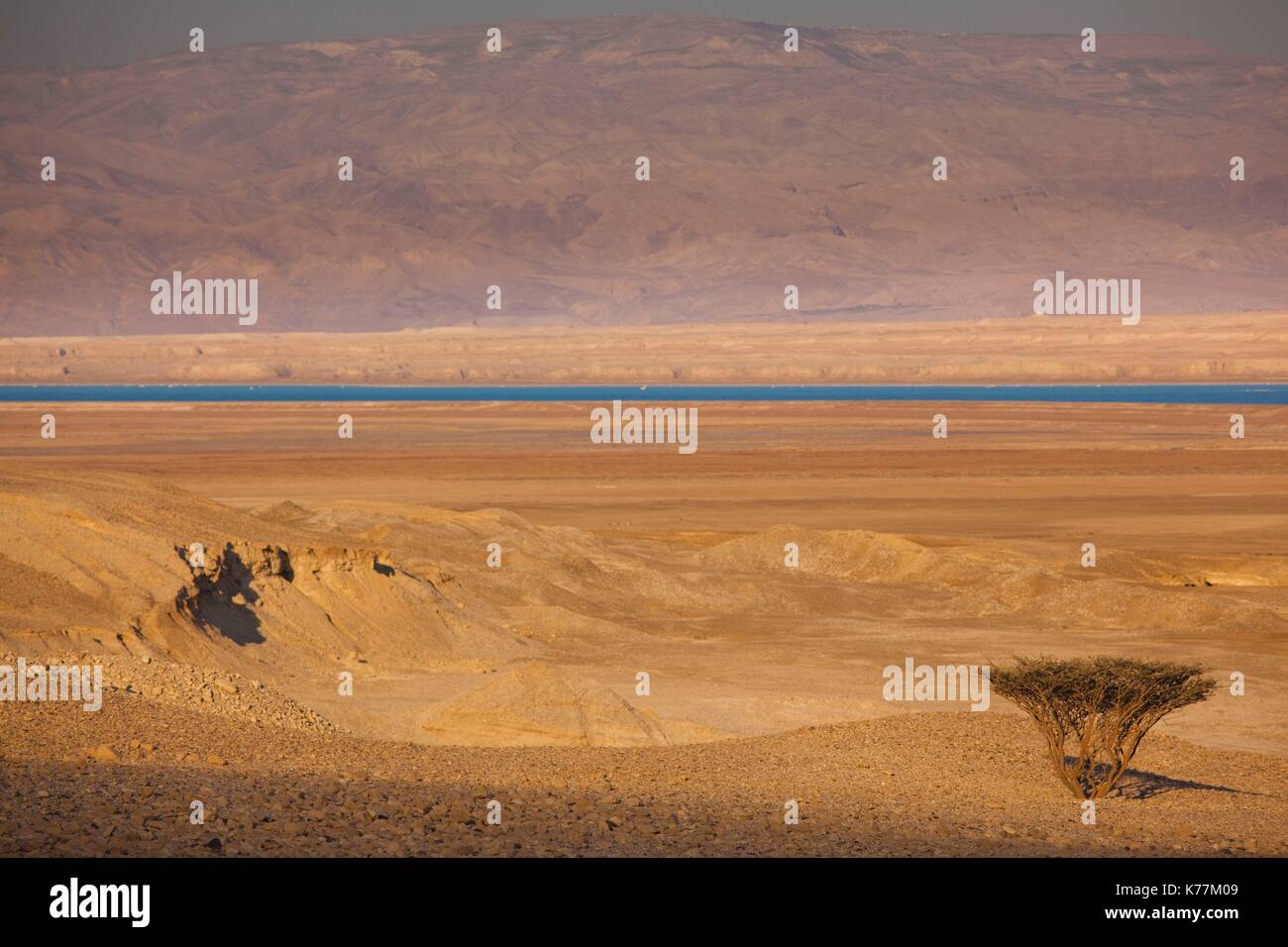 Israel, Dead Sea, Ein Bokek, desert landscape with Dead Sea Stock Photo - Alamy